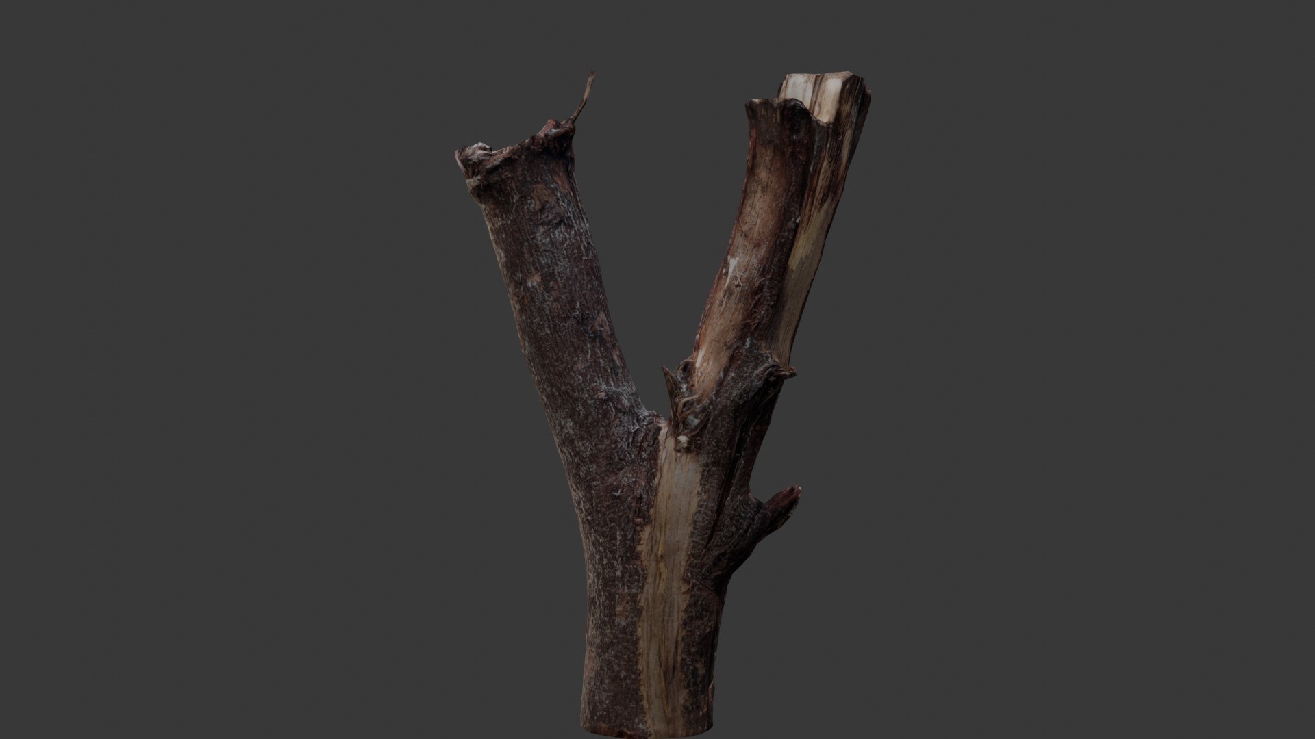 Shaped Tree Trunk Scan 3D Model - TurboSquid 2406227