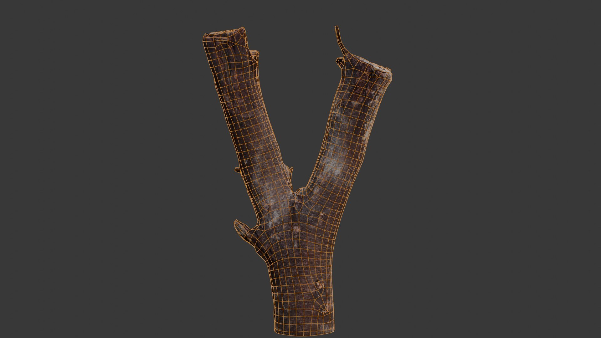 Shaped Tree Trunk Scan 3D Model - TurboSquid 2406227