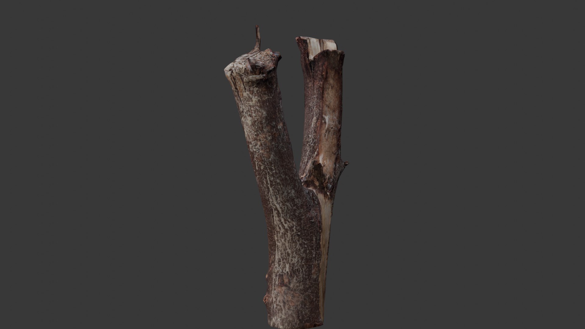 Shaped Tree Trunk Scan 3D Model - TurboSquid 2406227