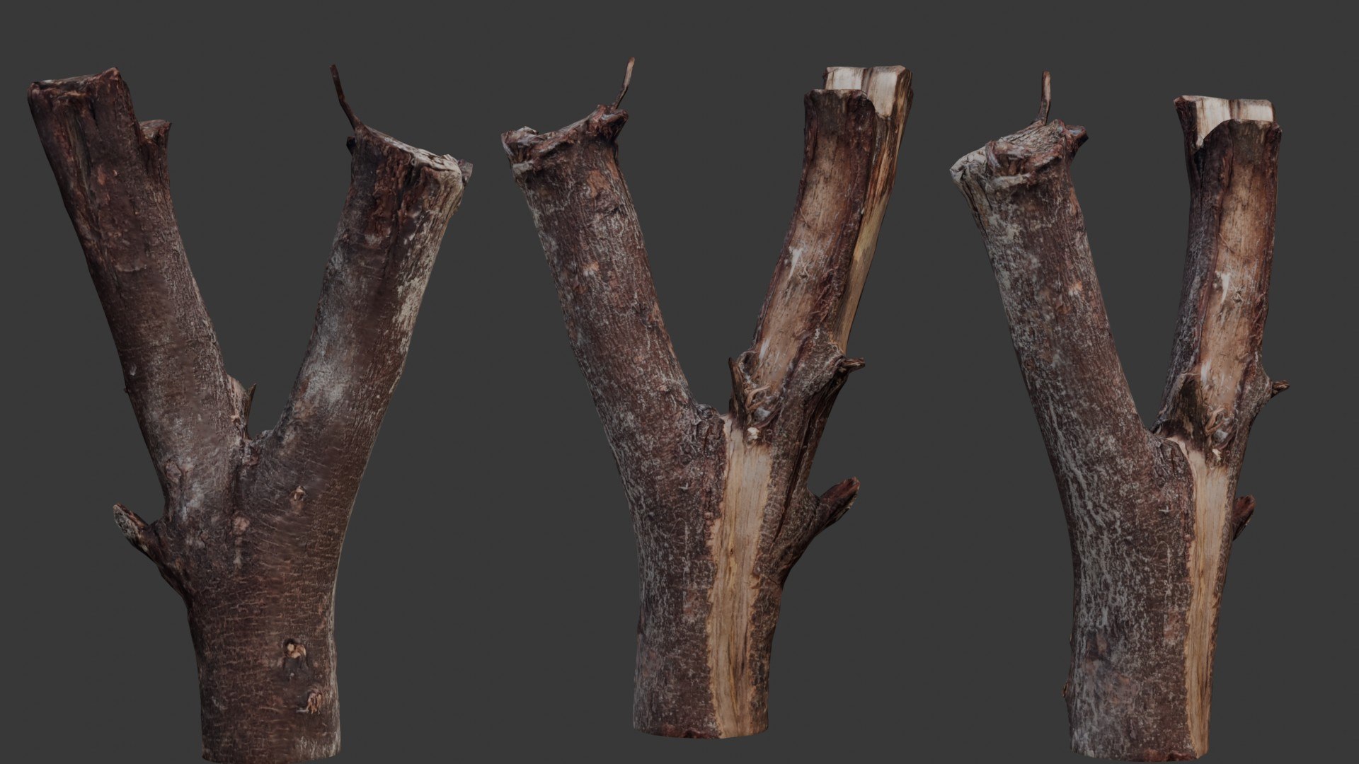 Shaped Tree Trunk Scan 3D Model - TurboSquid 2406227