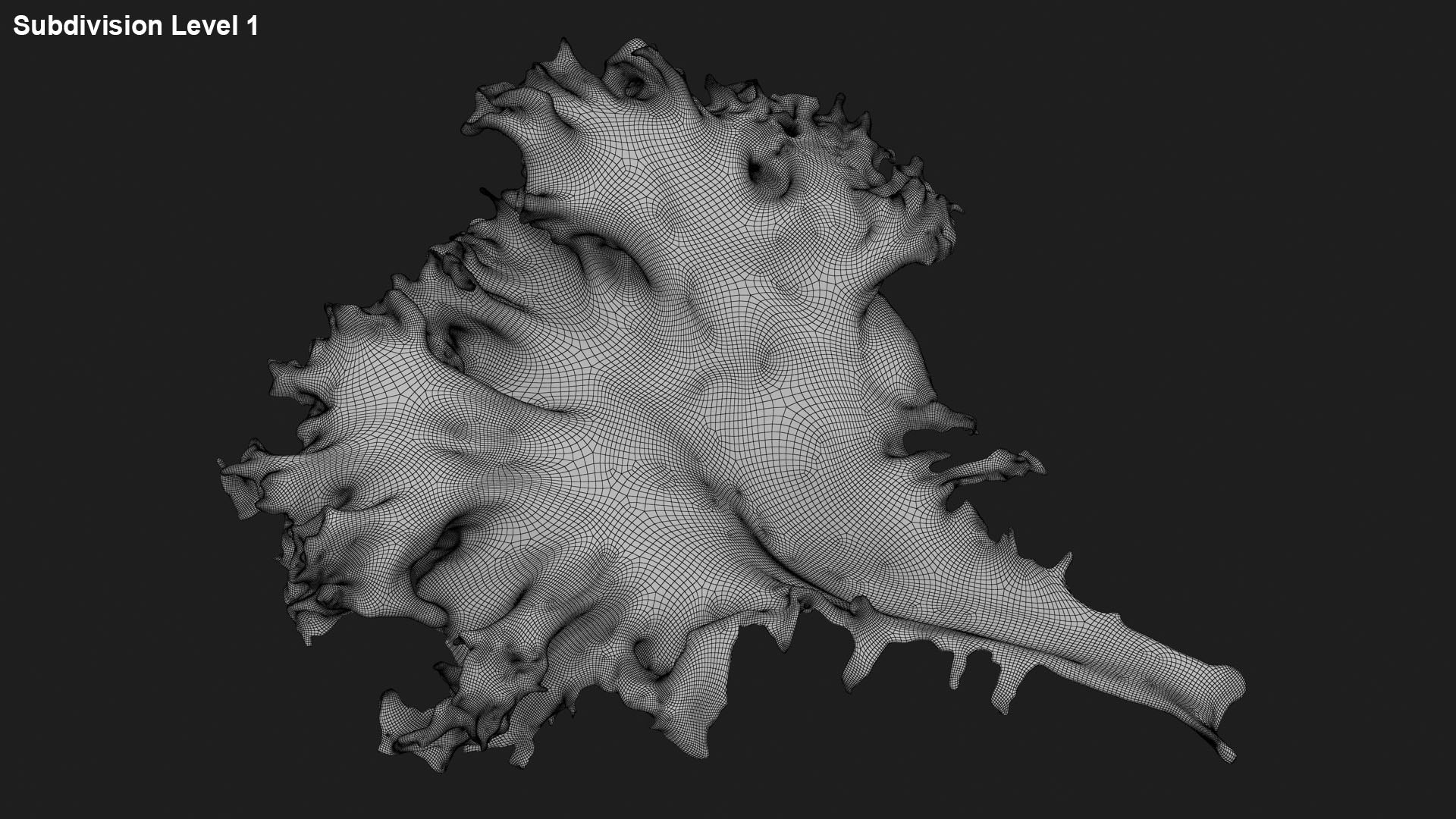 3D Frillice Iceberg Leaf - TurboSquid 2228568