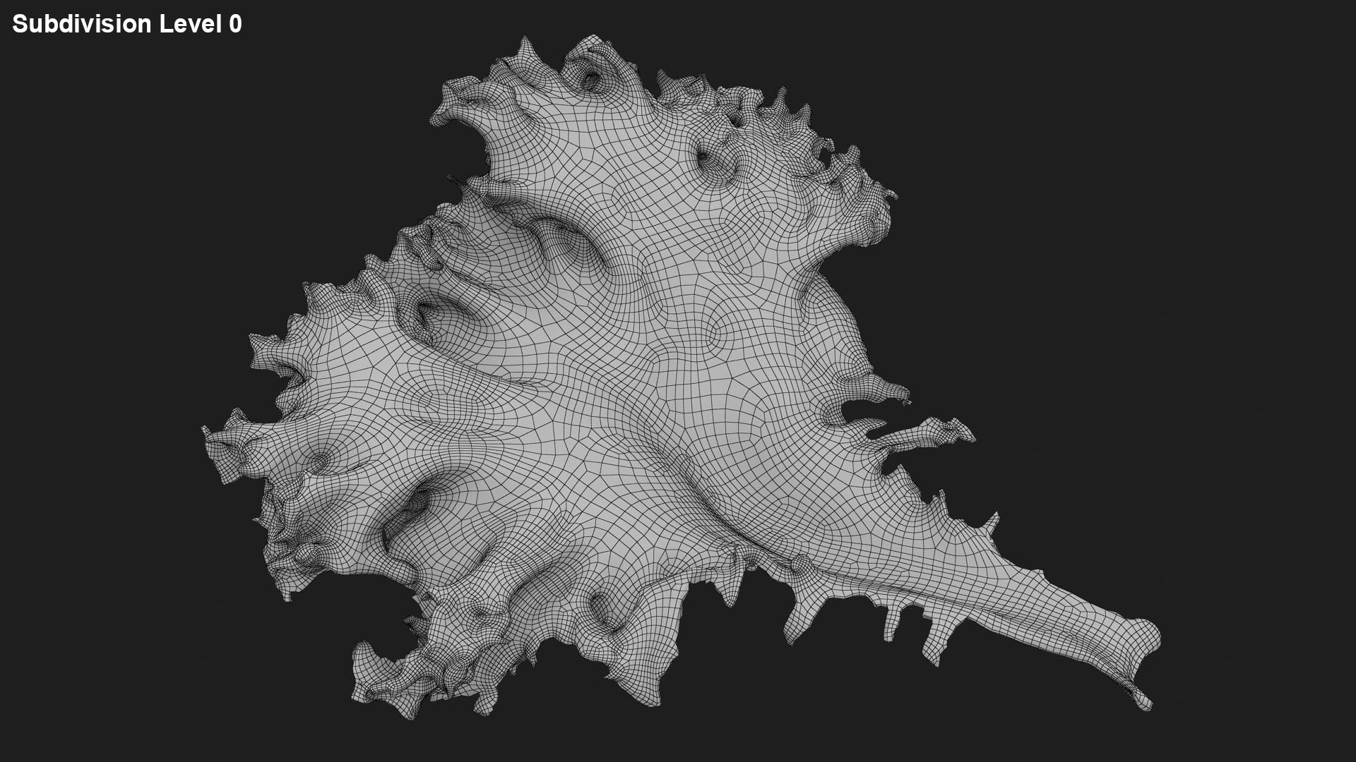 3D Frillice Iceberg Leaf - TurboSquid 2228568