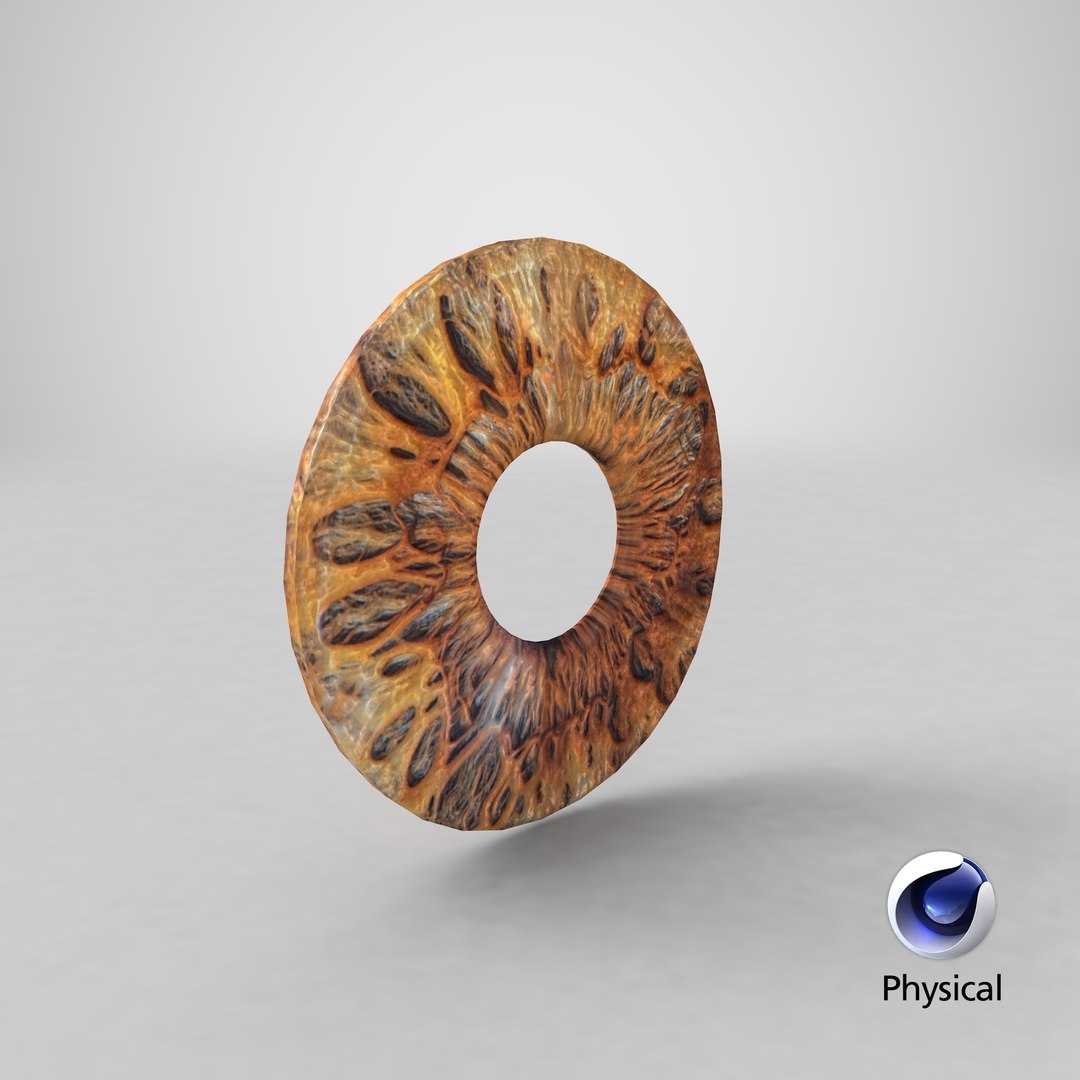 3D Human Iris Man Model - TurboSquid 1483174