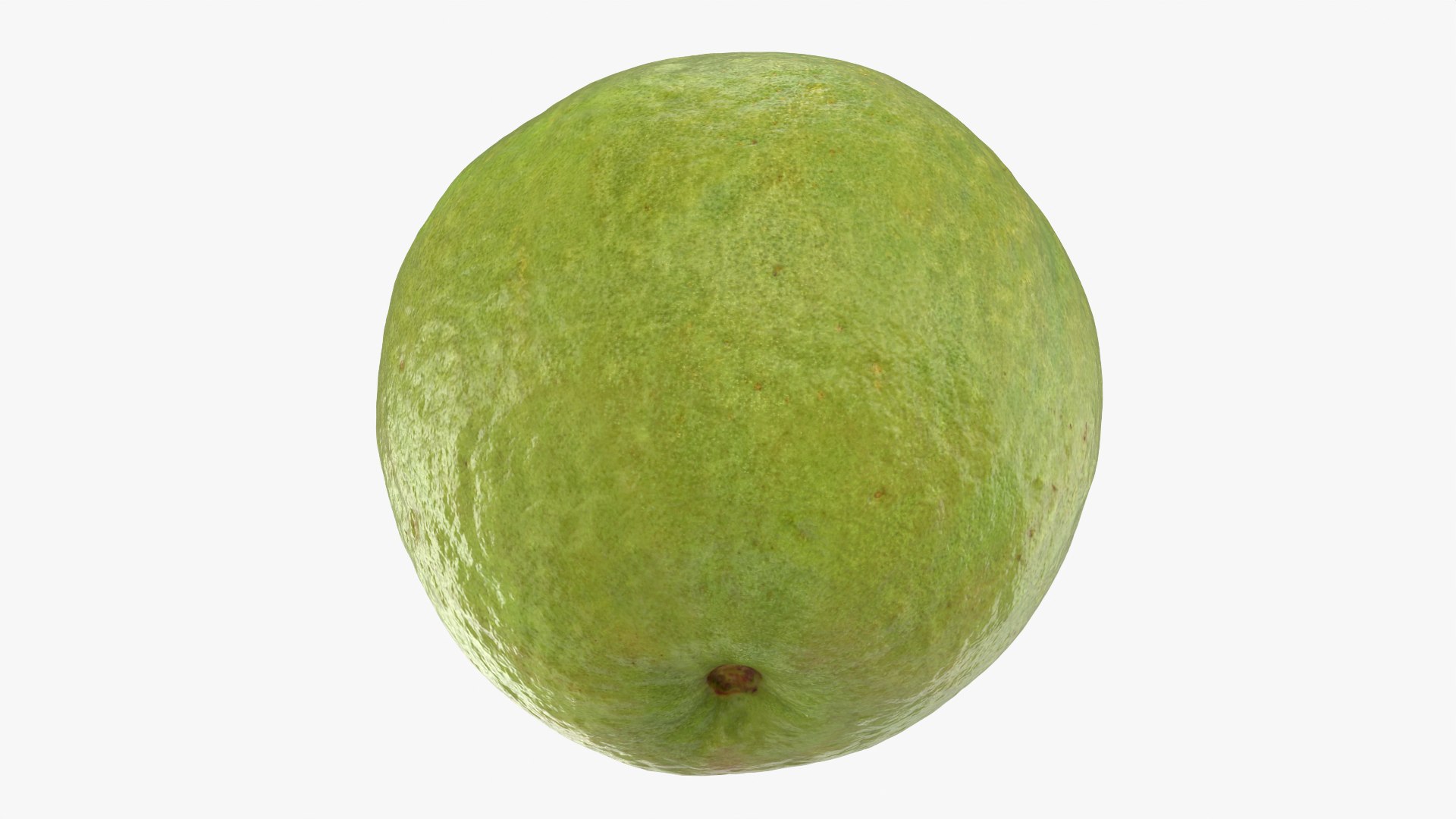 Pink Guava Collection 3D Model - TurboSquid 2429601