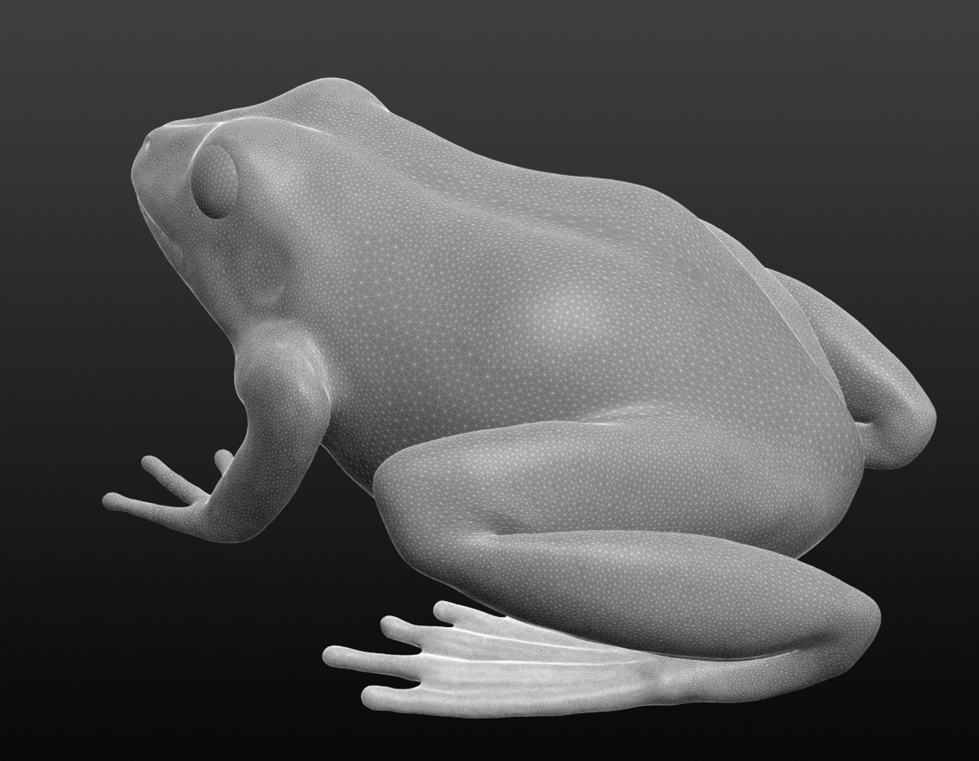 3D Frog Base Mesh Model - TurboSquid 1411983