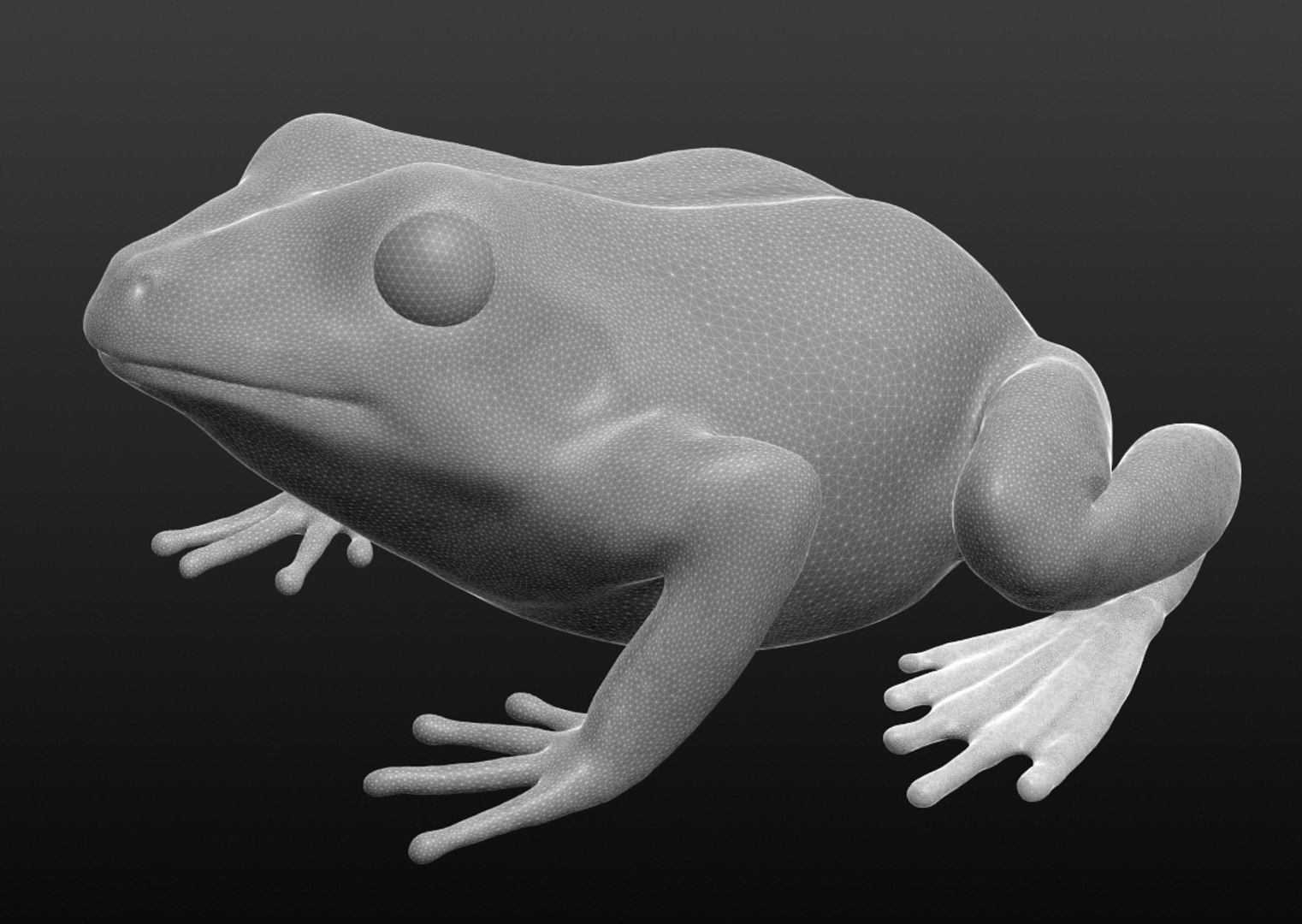 3D Frog Base Mesh Model - TurboSquid 1411983
