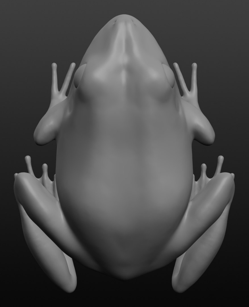 3D Frog Base Mesh Model - TurboSquid 1411983
