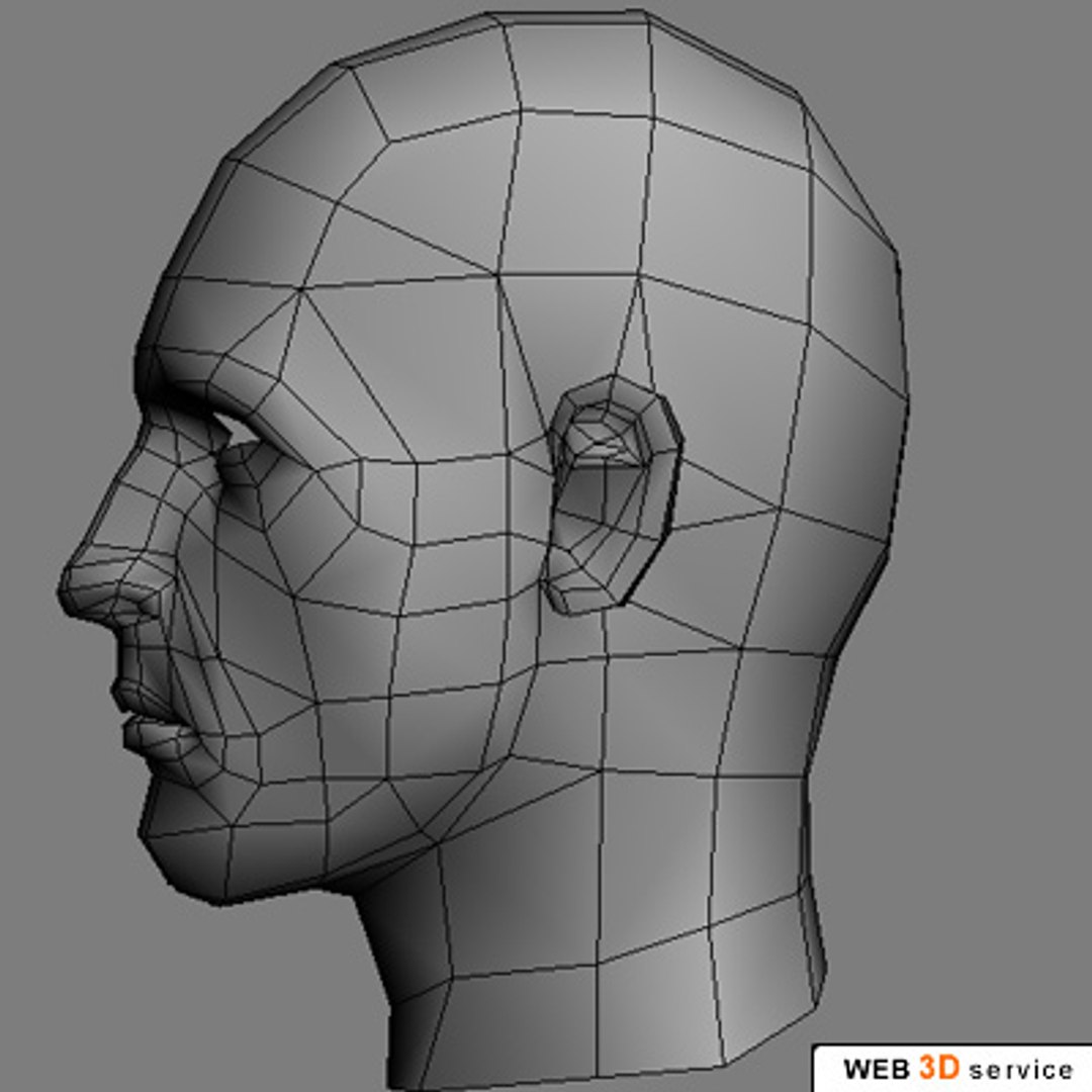 3dsmax Male Head
