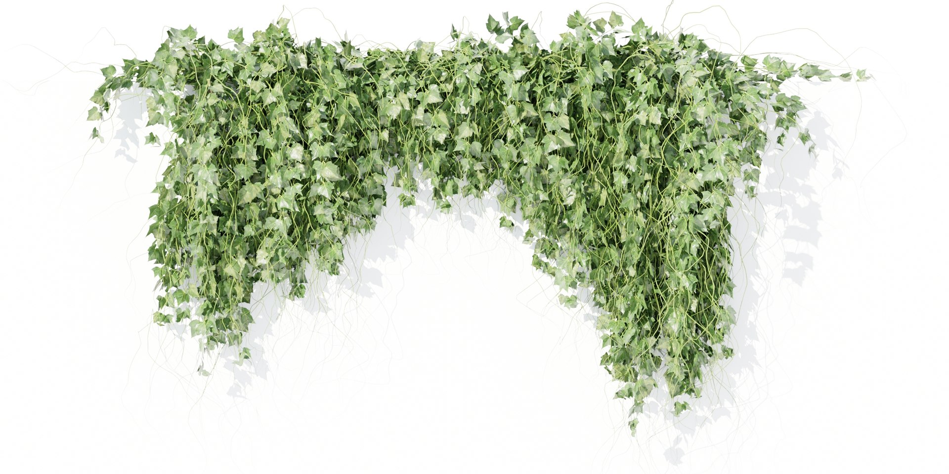 Hanging Wall Plants Vol 91-Blender 3D Model - TurboSquid 2132799