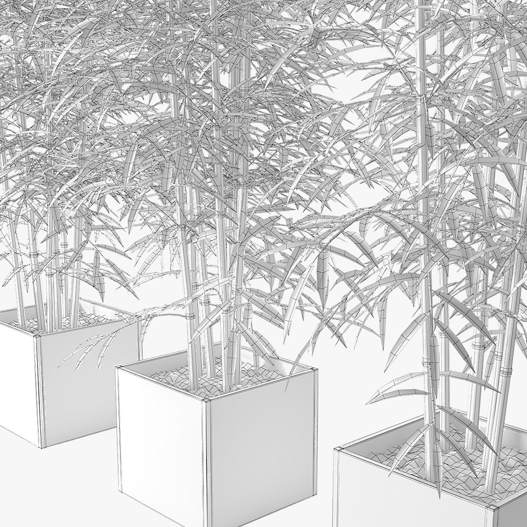 3D Bamboo Plant - TurboSquid 1248164