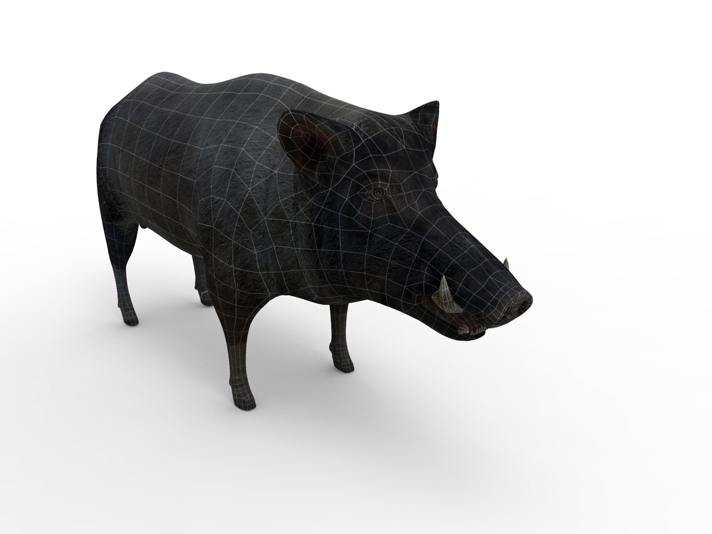 Wild boar rigged animation model - TurboSquid 1253535