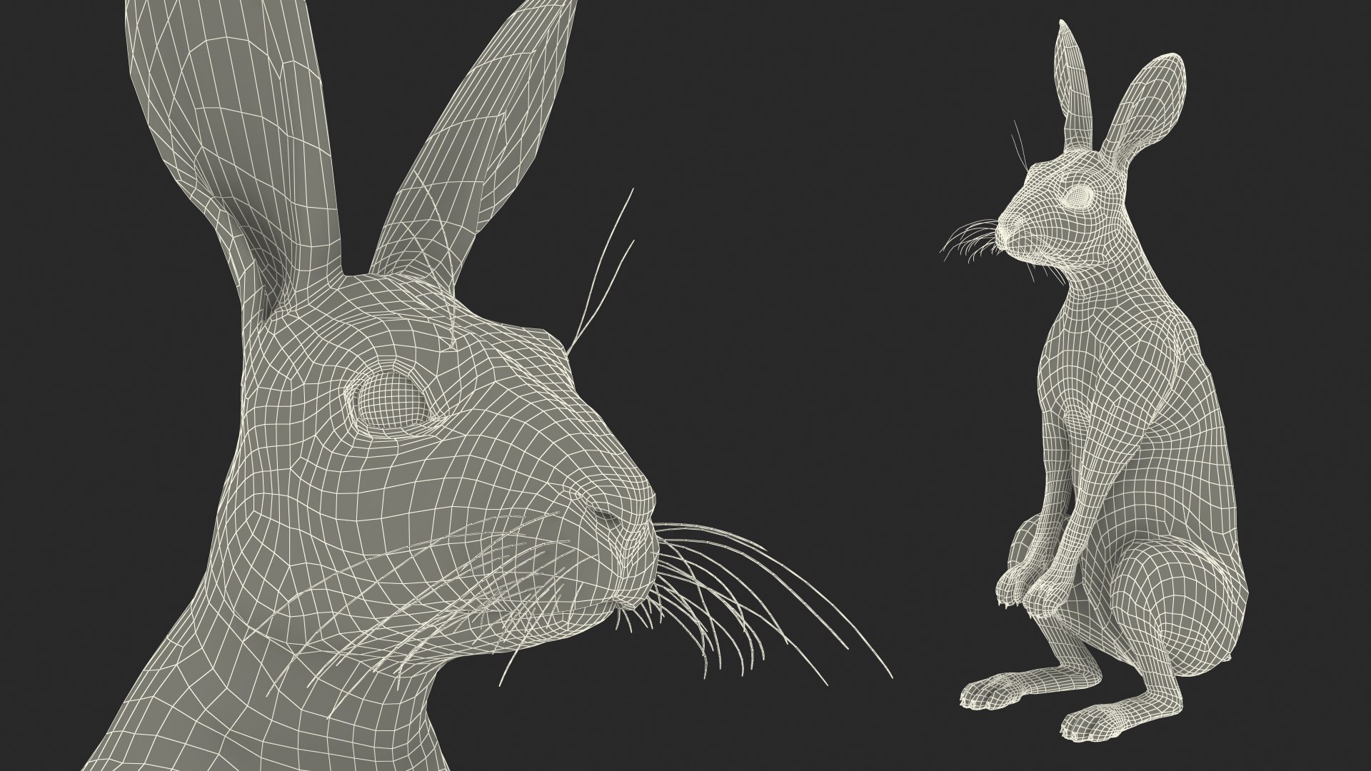 Snowshoe Hare Standing Pose Fur 3D Model - TurboSquid 2128852