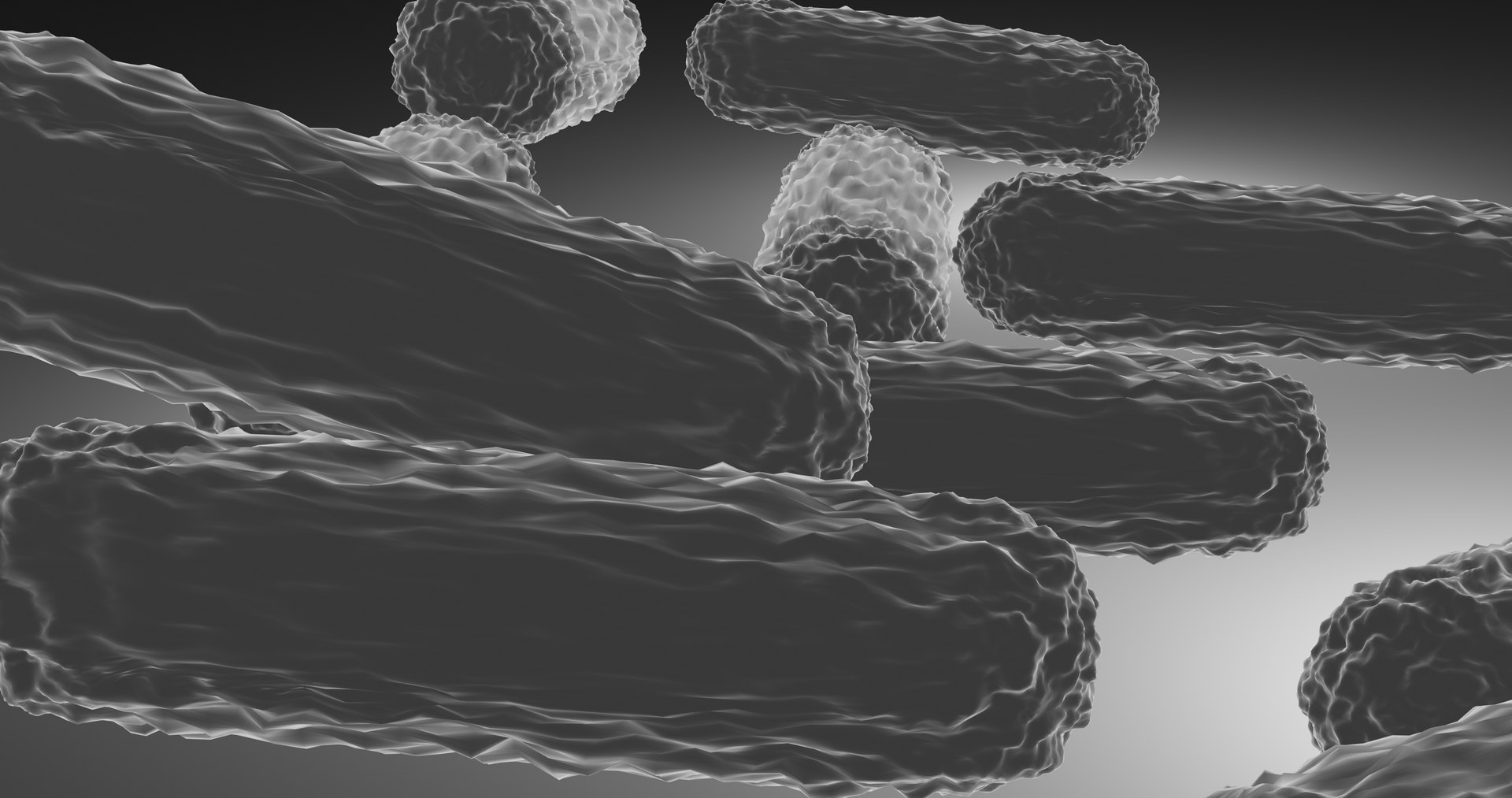 Bacilli Bacteria Model - TurboSquid 1593514