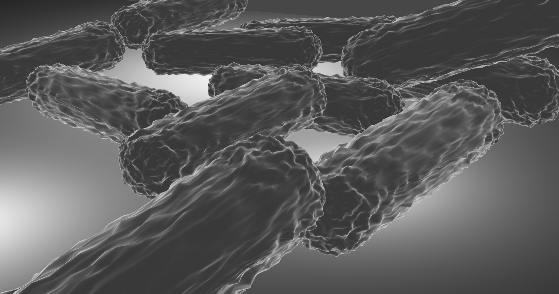 Bacilli Bacteria Model - TurboSquid 1593514