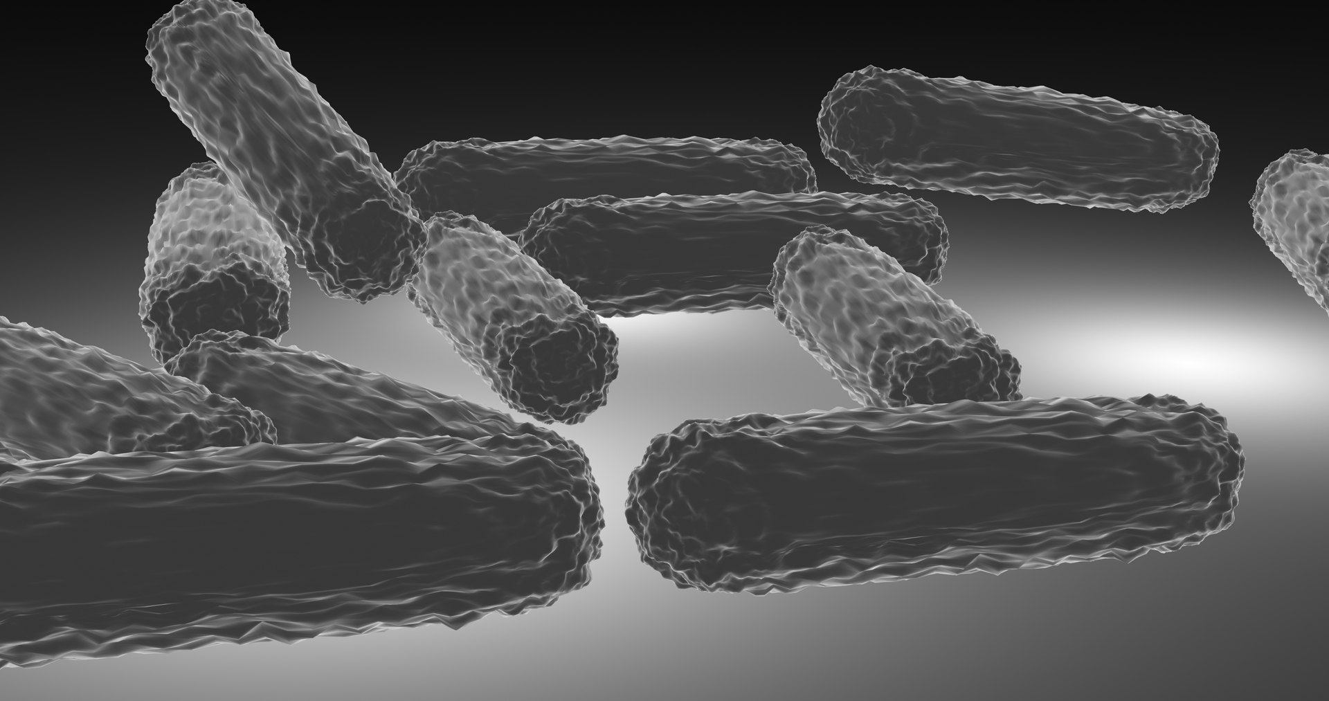 Bacilli Bacteria Model - TurboSquid 1593514