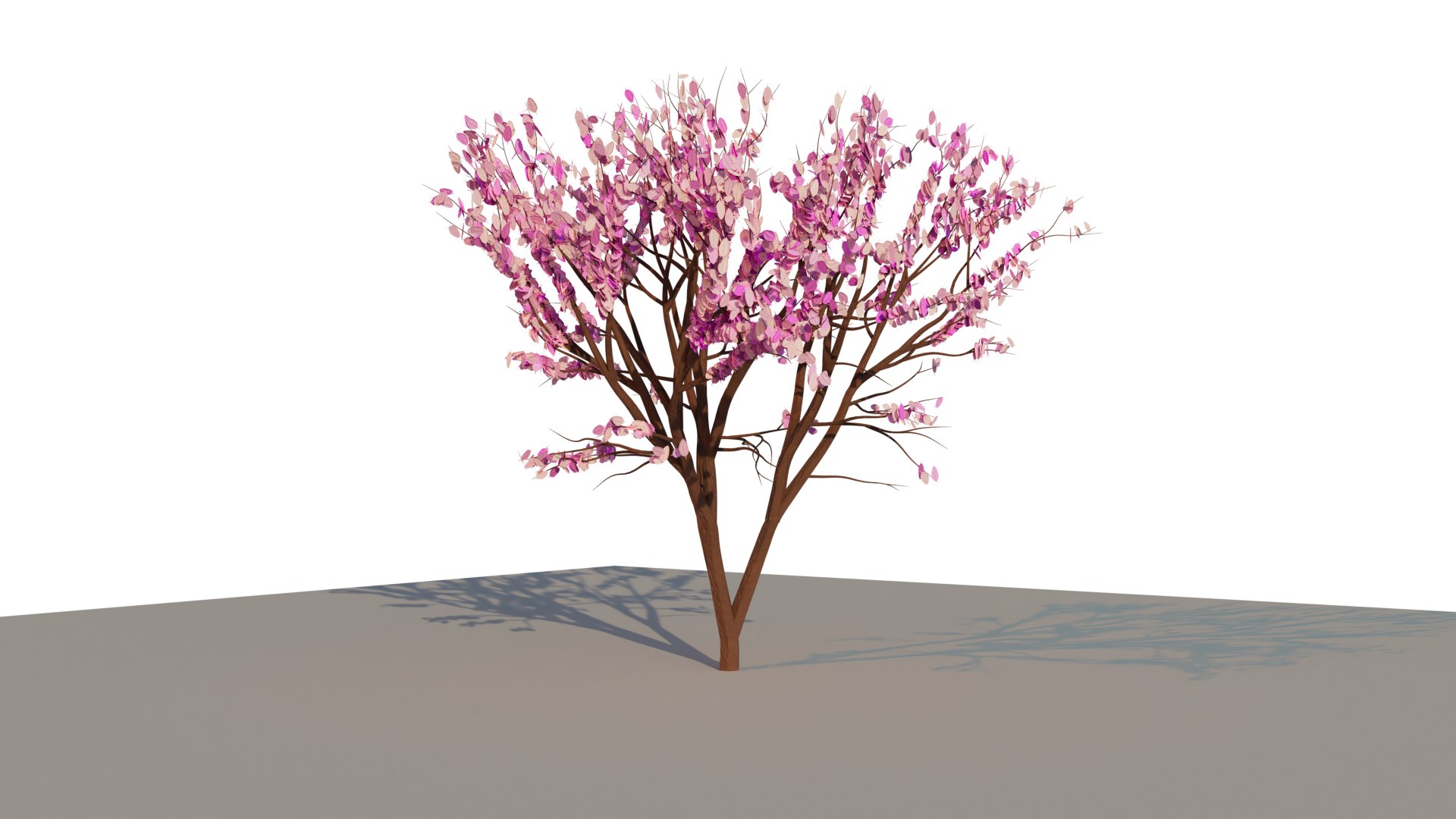 Cherry Grass 3D - TurboSquid 1594718