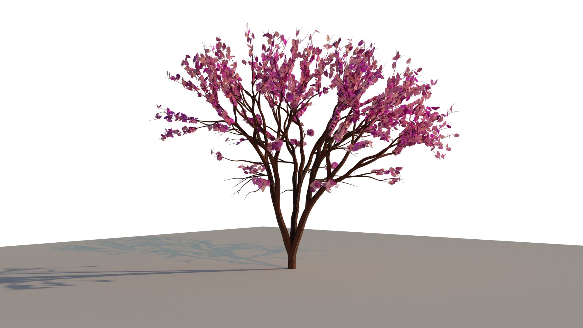 Cherry Grass 3D - TurboSquid 1594718