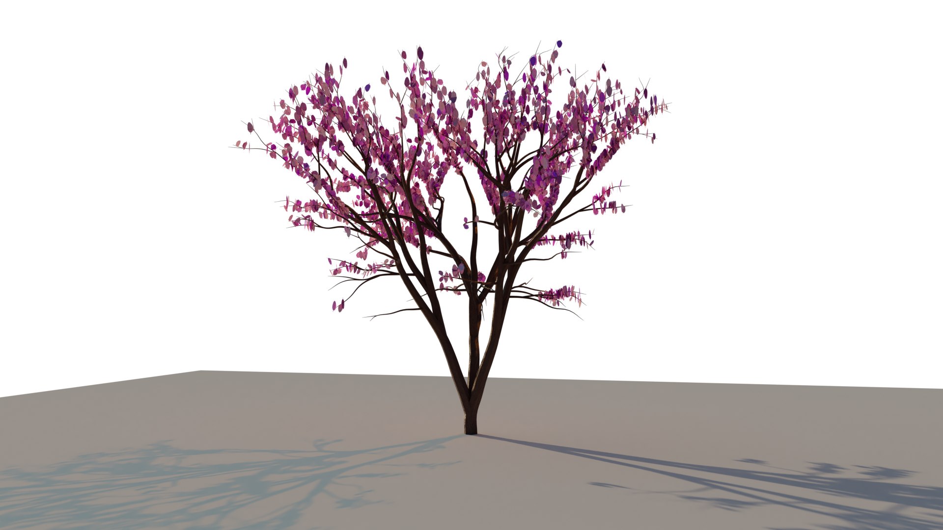 Cherry grass 3D - TurboSquid 1594718
