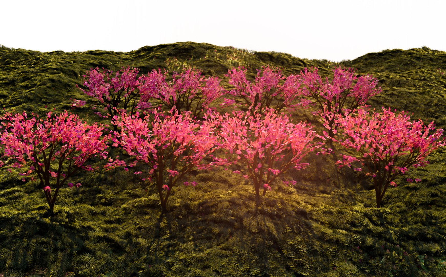 Cherry grass 3D - TurboSquid 1594718