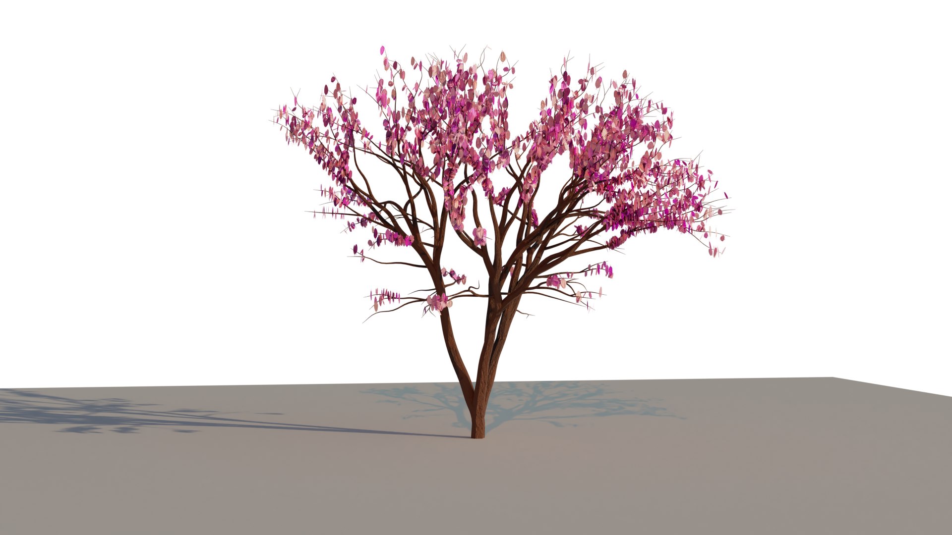 Cherry Grass 3D - TurboSquid 1594718