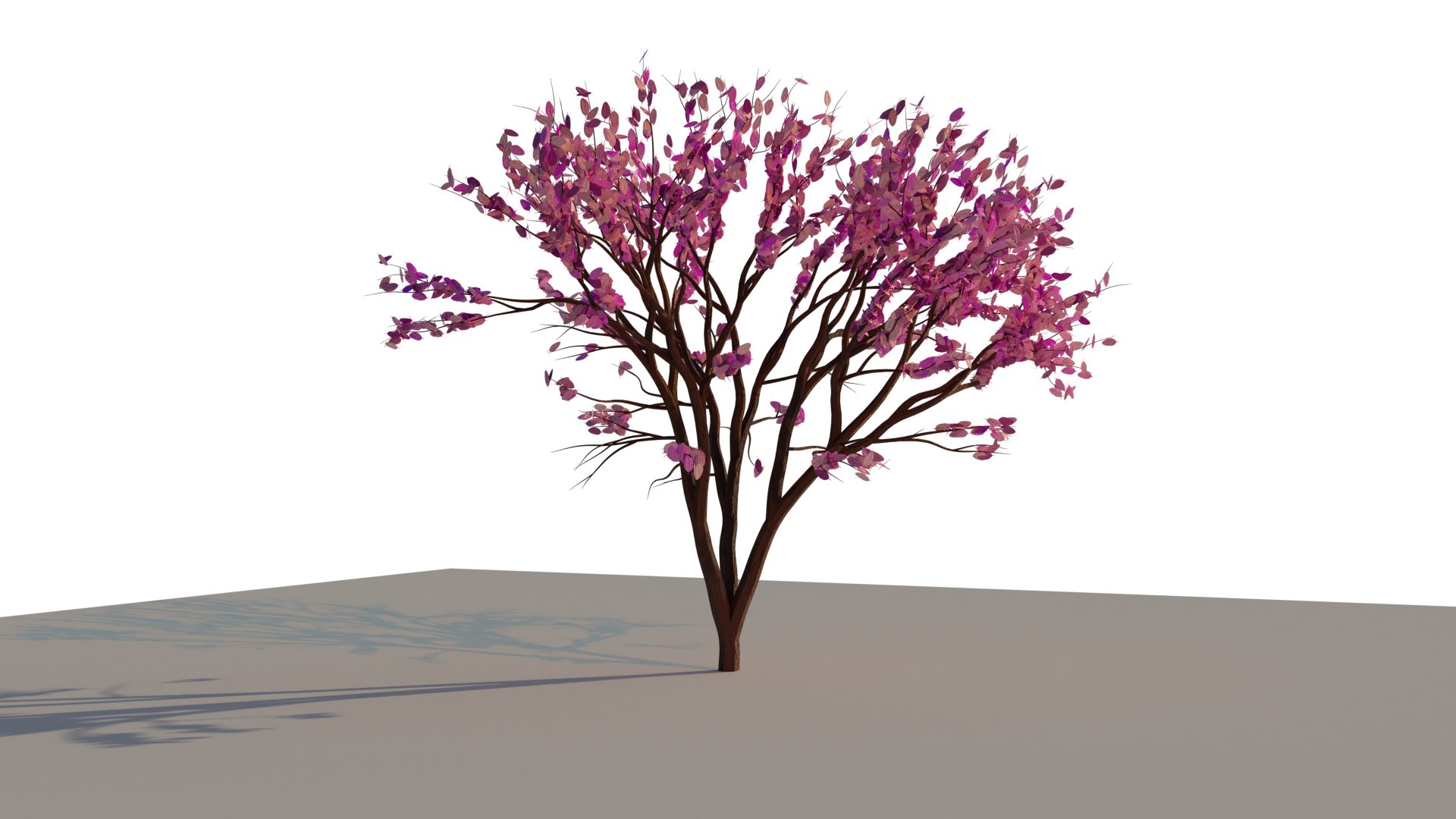 Cherry Grass 3D - TurboSquid 1594718