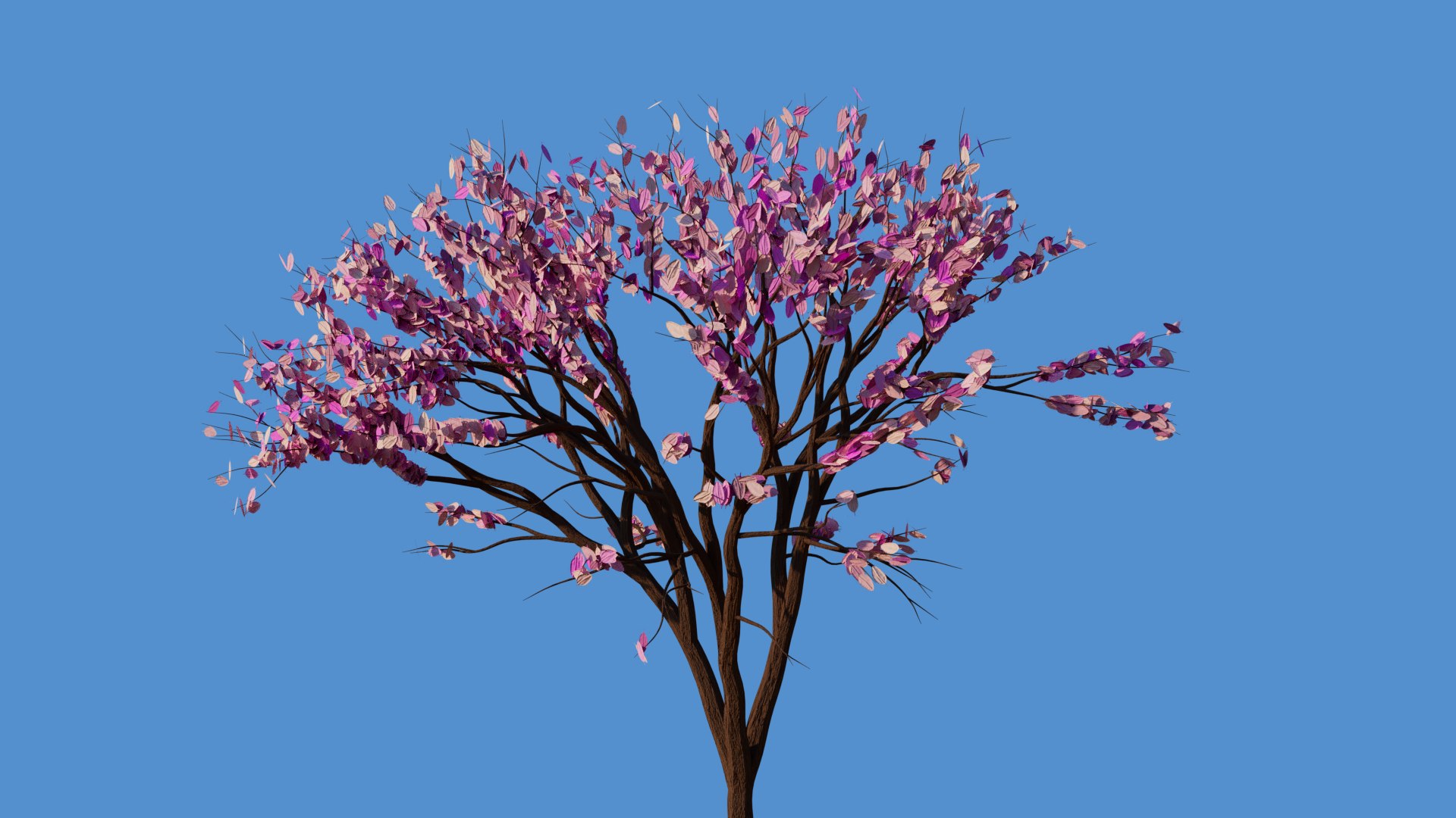 Cherry Grass 3D - TurboSquid 1594718
