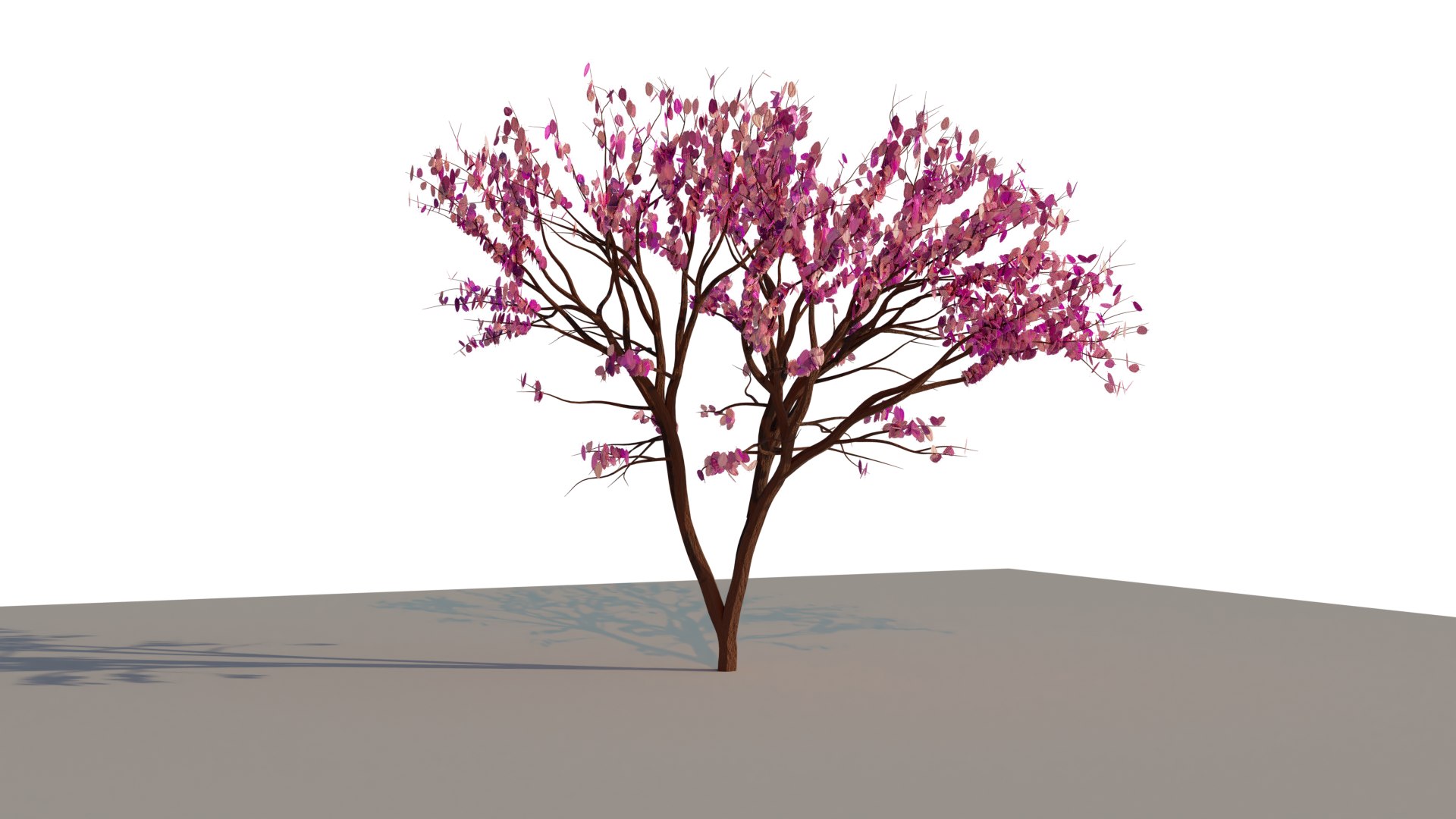 Cherry Grass 3D - TurboSquid 1594718