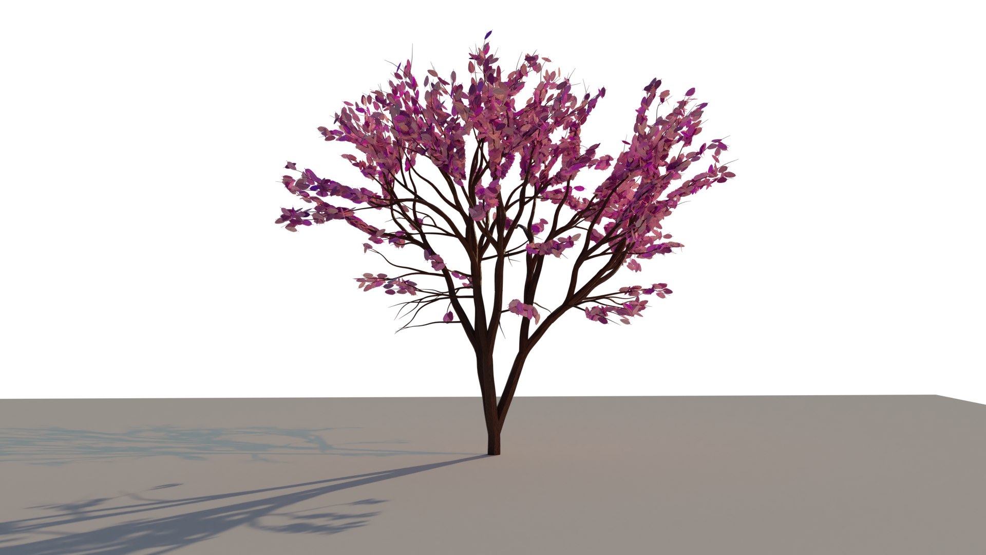 Cherry Grass 3D - TurboSquid 1594718