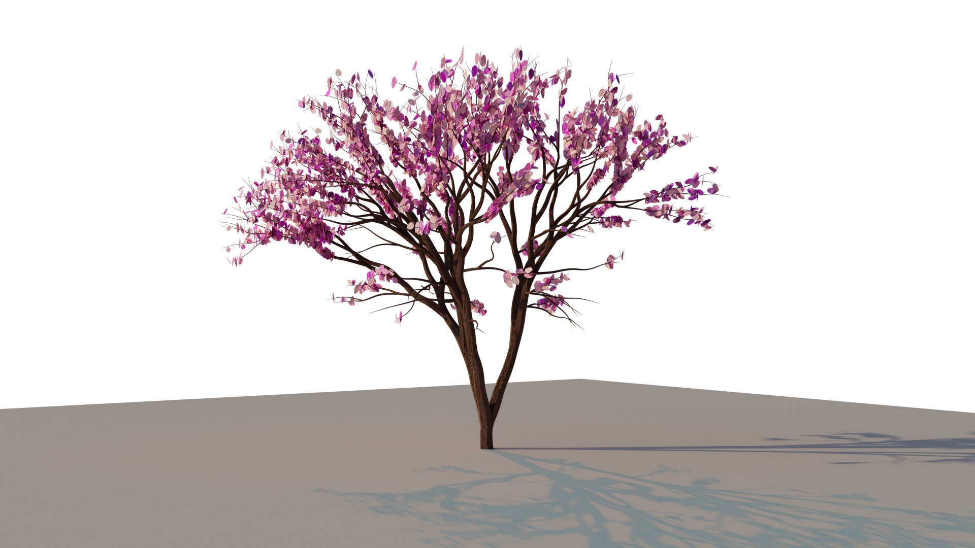 Cherry Grass 3D - TurboSquid 1594718