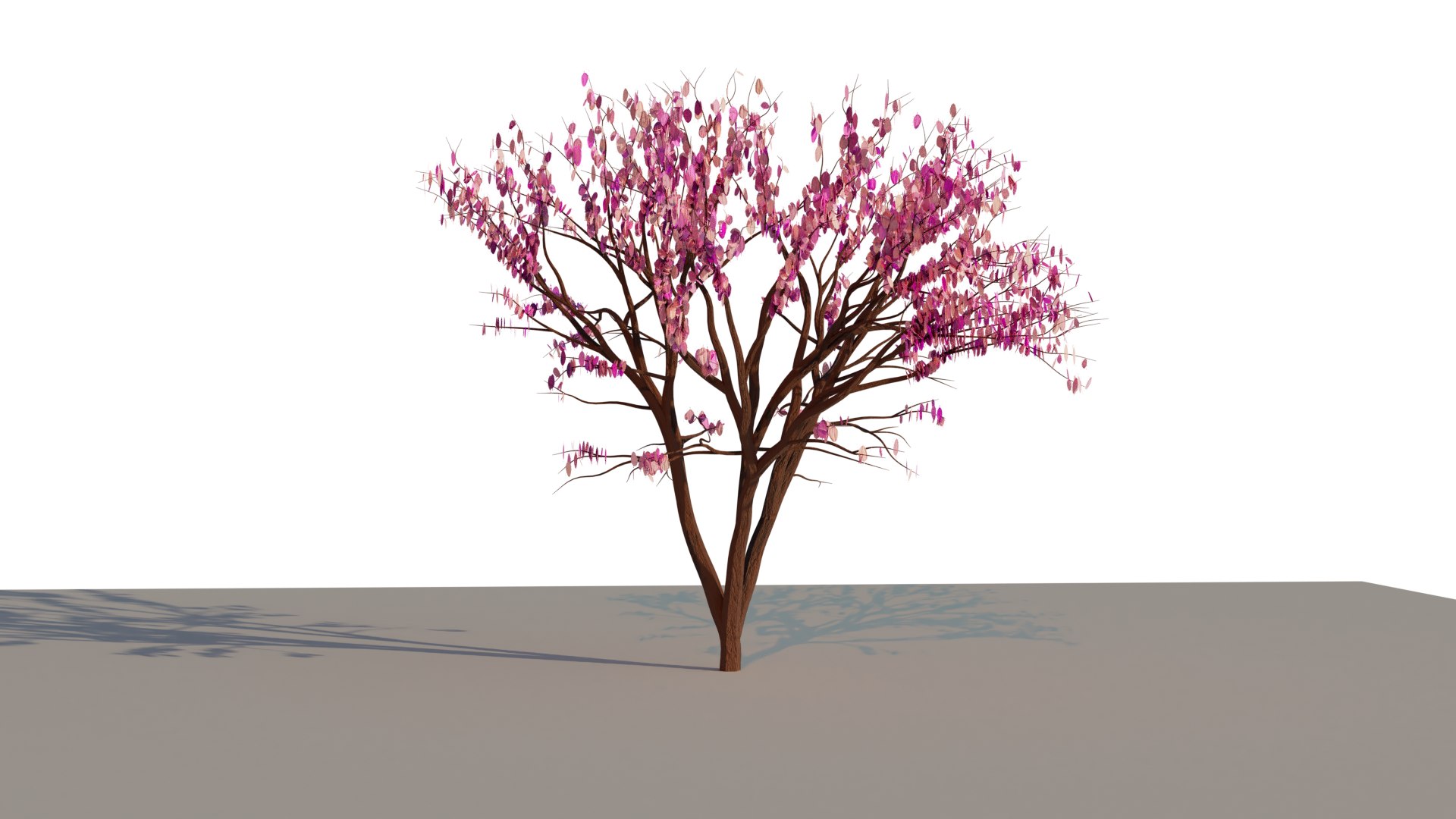 Cherry Grass 3D - TurboSquid 1594718