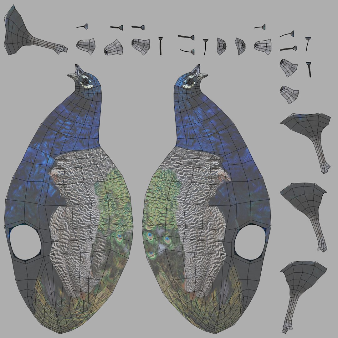 3D Indian Peafowl - TurboSquid 1344594