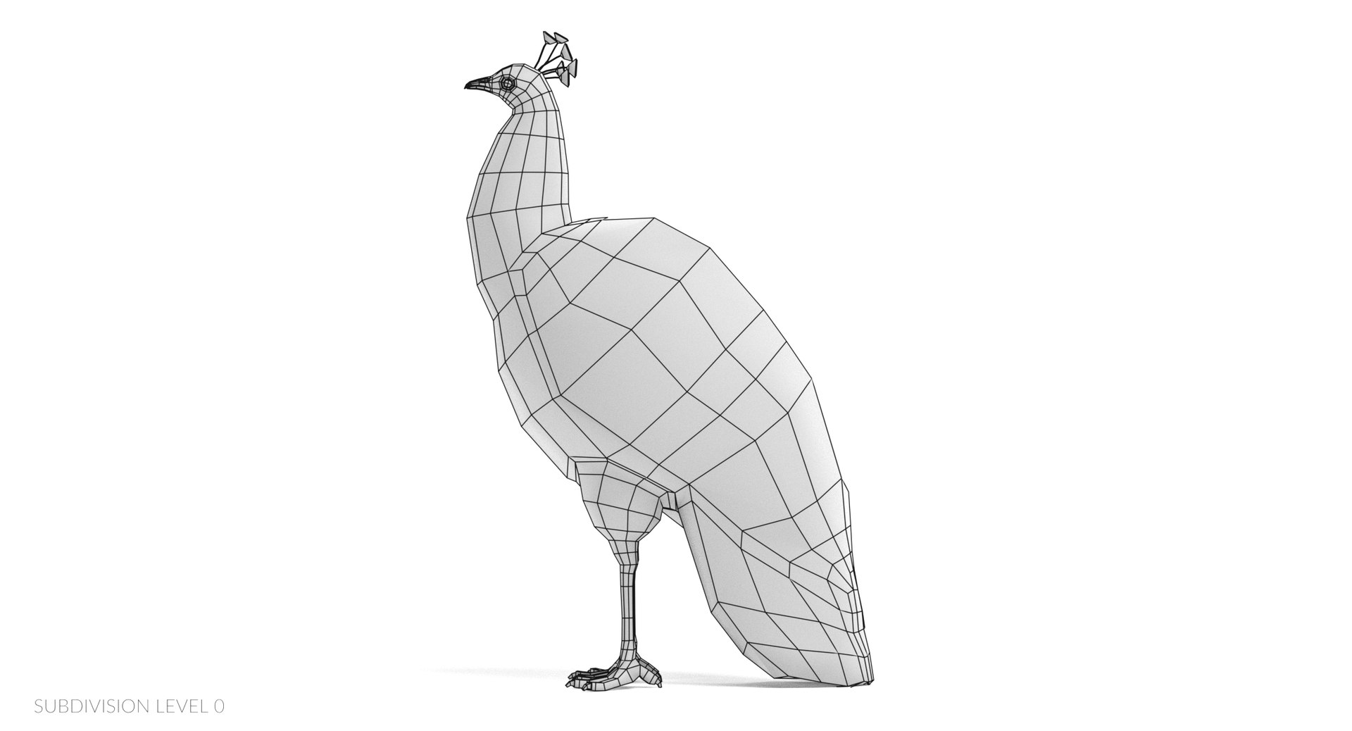 3D Indian Peafowl - TurboSquid 1344594
