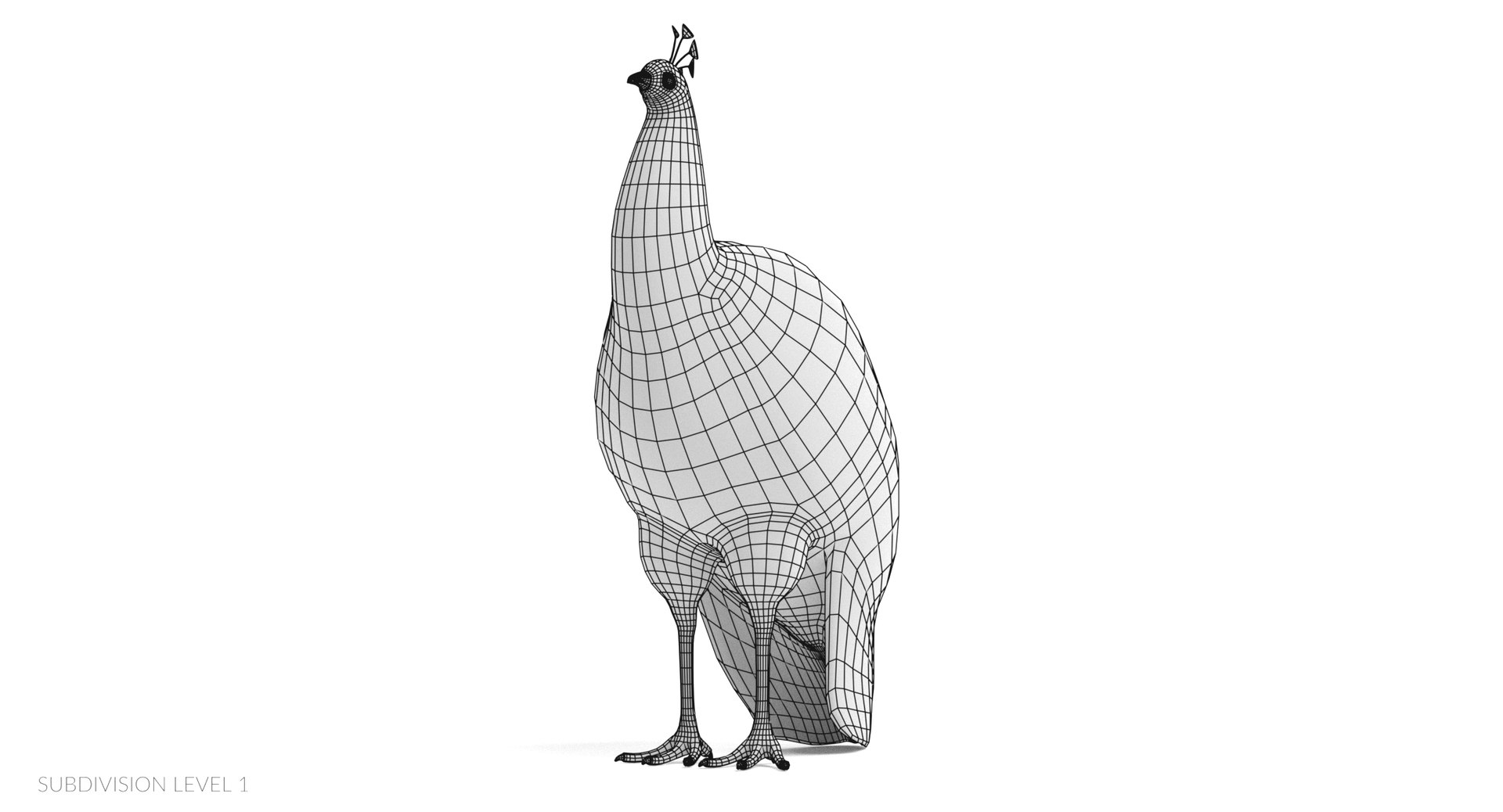 3D Indian Peafowl - TurboSquid 1344594