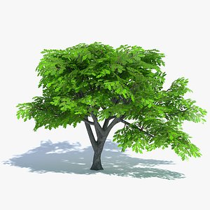 small tree 3d model