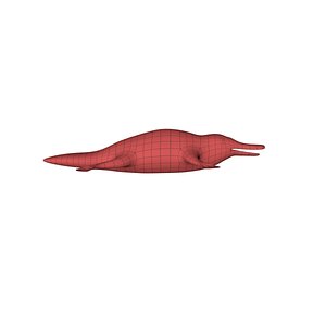 3d base mesh piranha fish