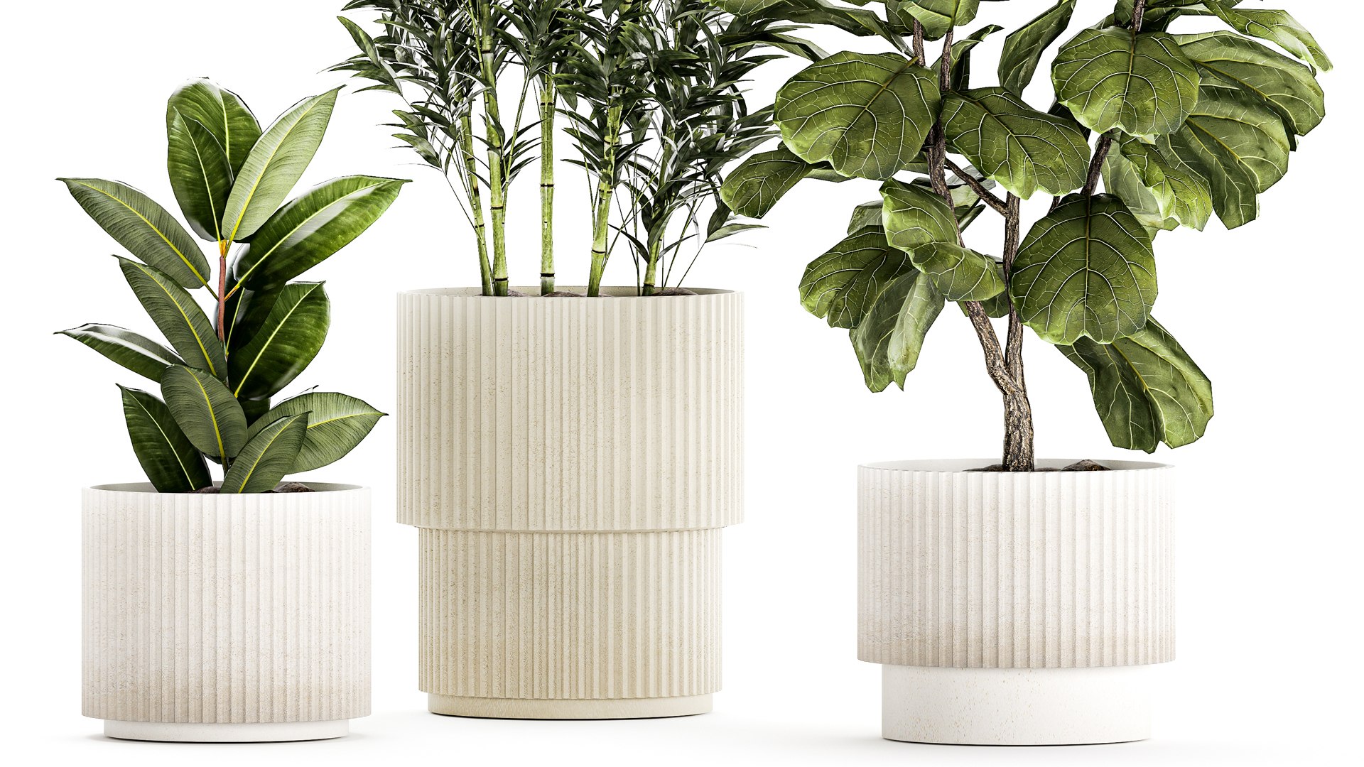 Set of small plants ficus lyrata tree pot bush bamboo 1451 3D model ...