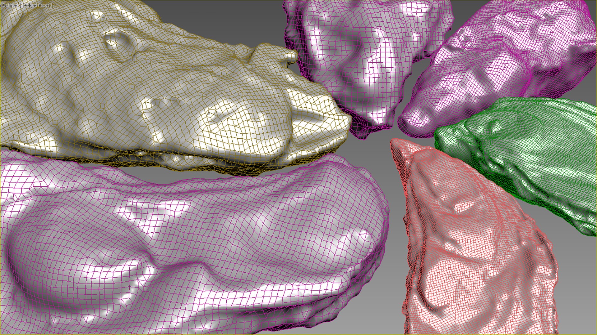 3D Model Oyster Collection 6 Species Mediterranean Oyster Versailles ...