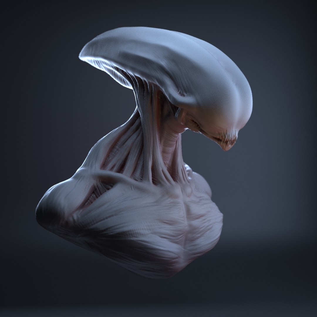 Alien Head 3d Model