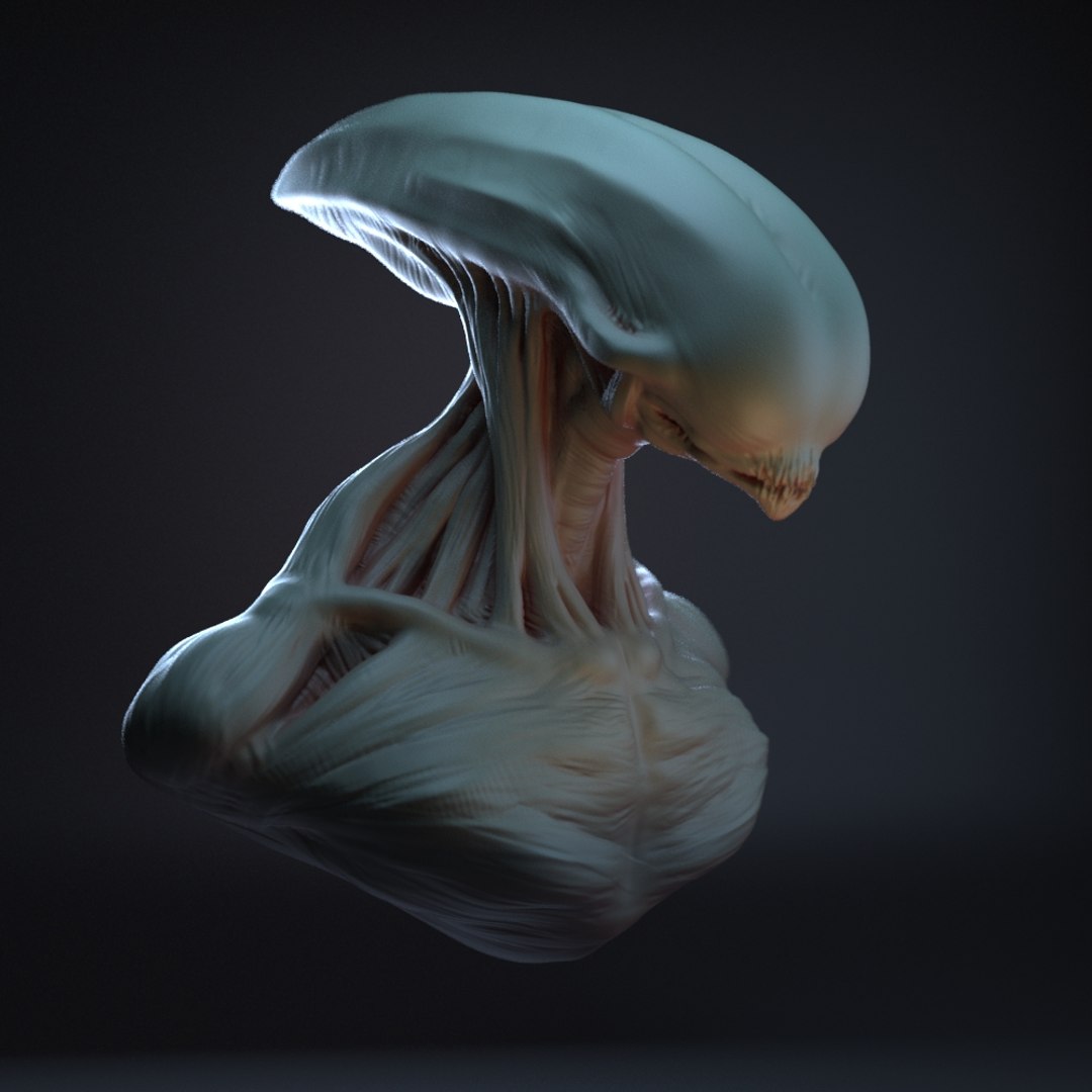 Alien Head 3d Model