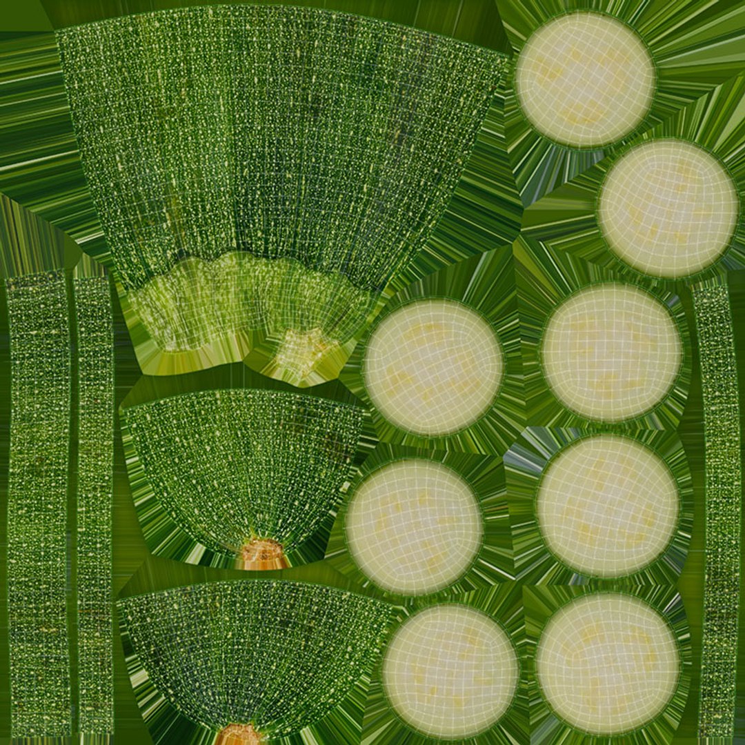 3D Fresh Green Zucchini Slices 5 Model - TurboSquid 2111153