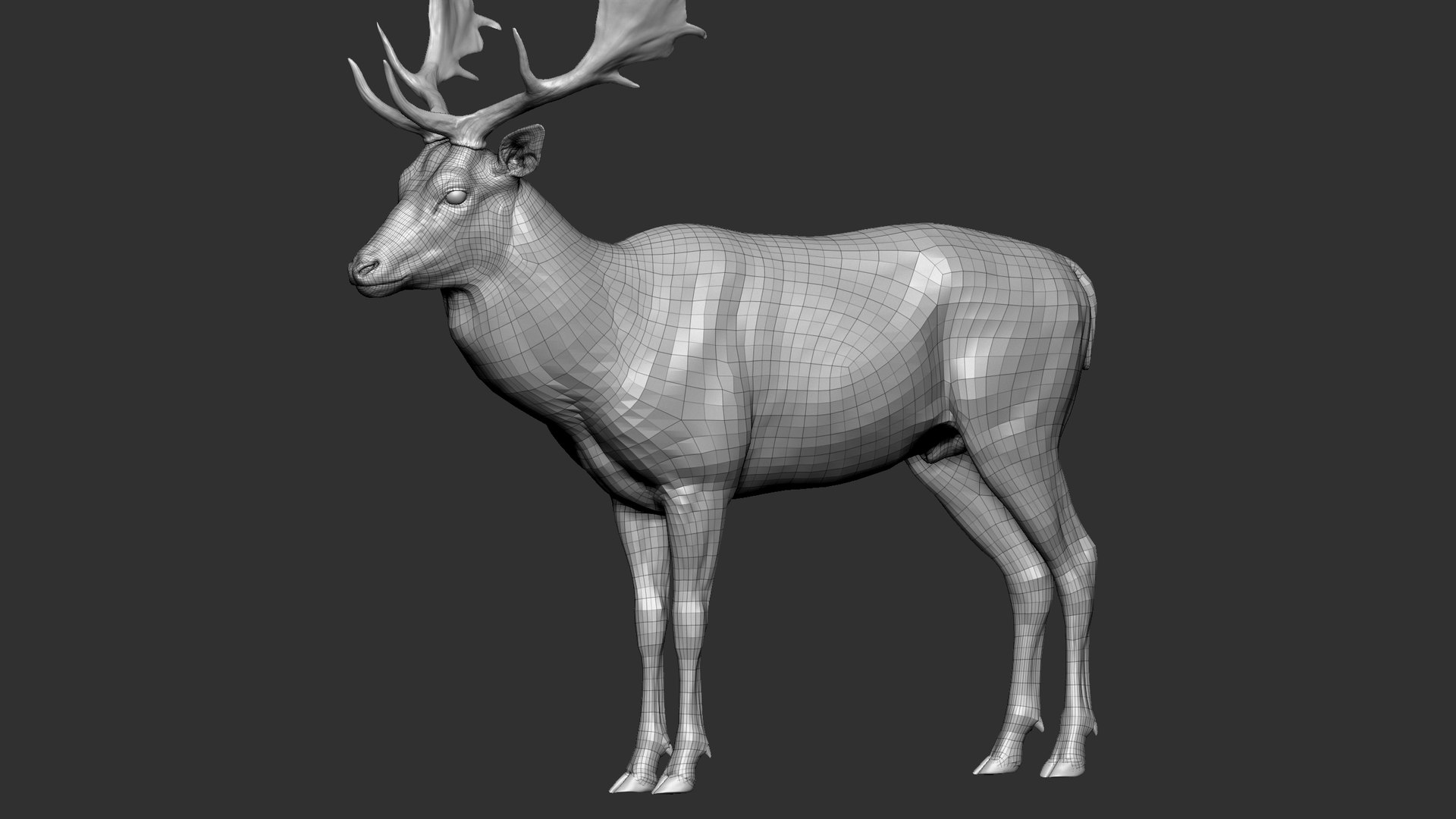 Fallow deer Buck Dama dama Zbrush Sculpture Digital 3D model ...