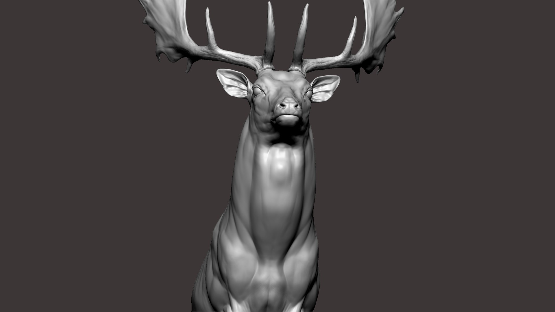 Fallow Deer Buck Dama Dama Zbrush Sculpture Digital 3D Model ...