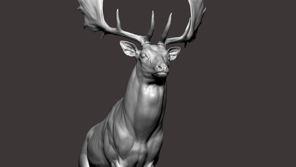 Fallow deer Buck Dama dama Zbrush Sculpture Digital 3D model ...