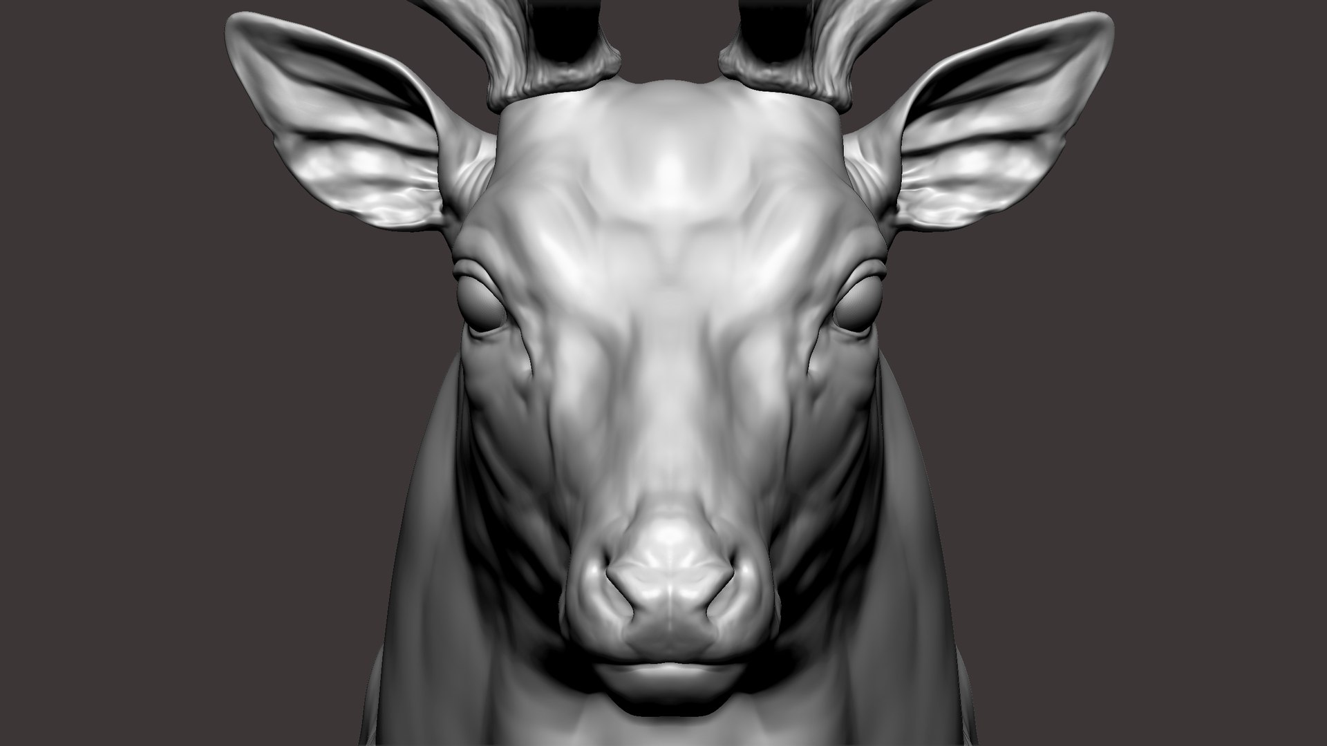Fallow Deer Buck Dama Dama Zbrush Sculpture Digital 3D Model ...