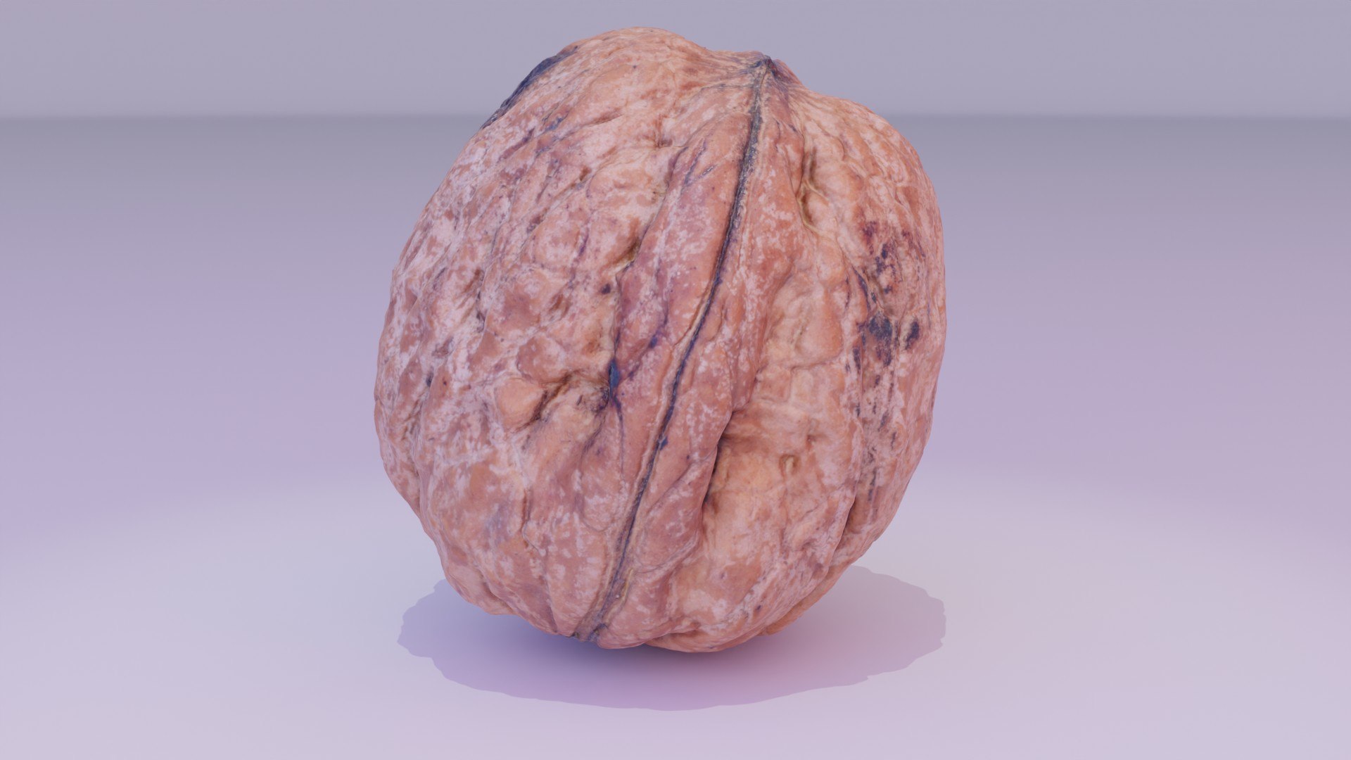 3D Walnut fruit 05 high-poly 3D model model - TurboSquid 1839789