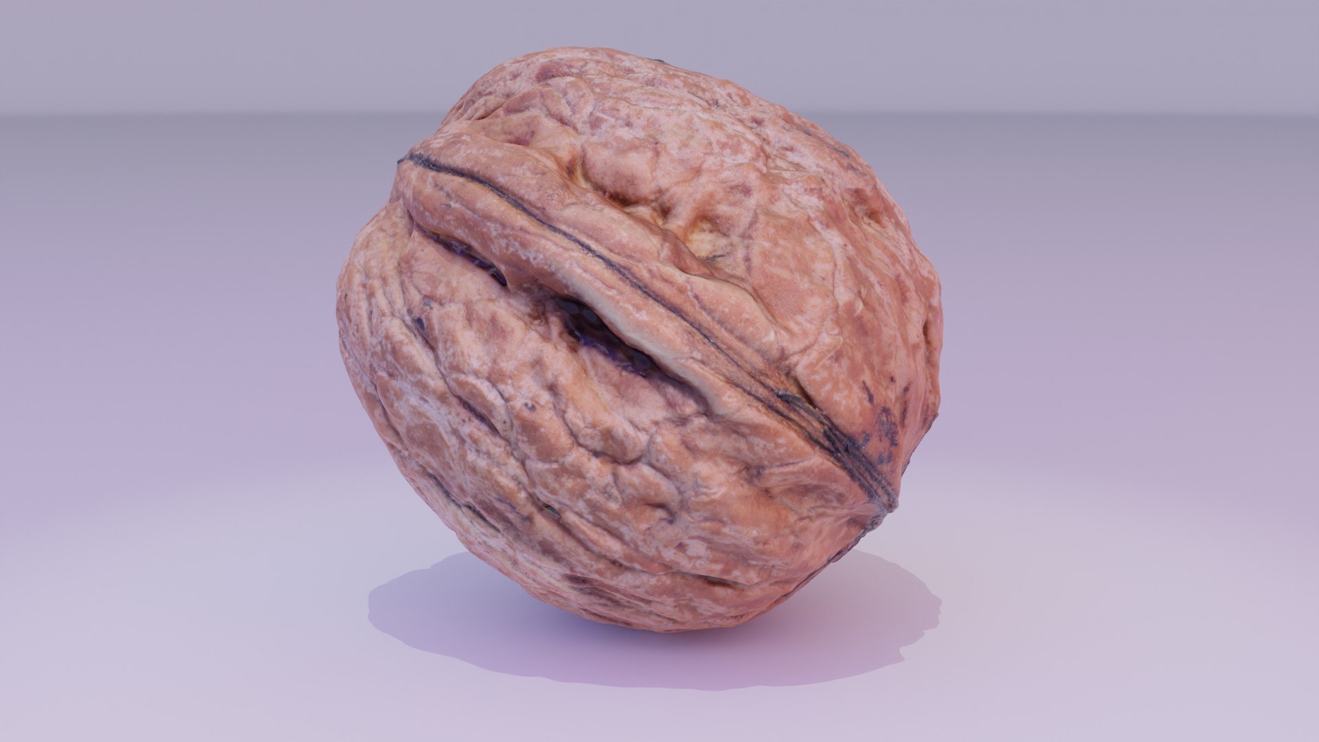 3D Walnut fruit 05 high-poly 3D model model - TurboSquid 1839789
