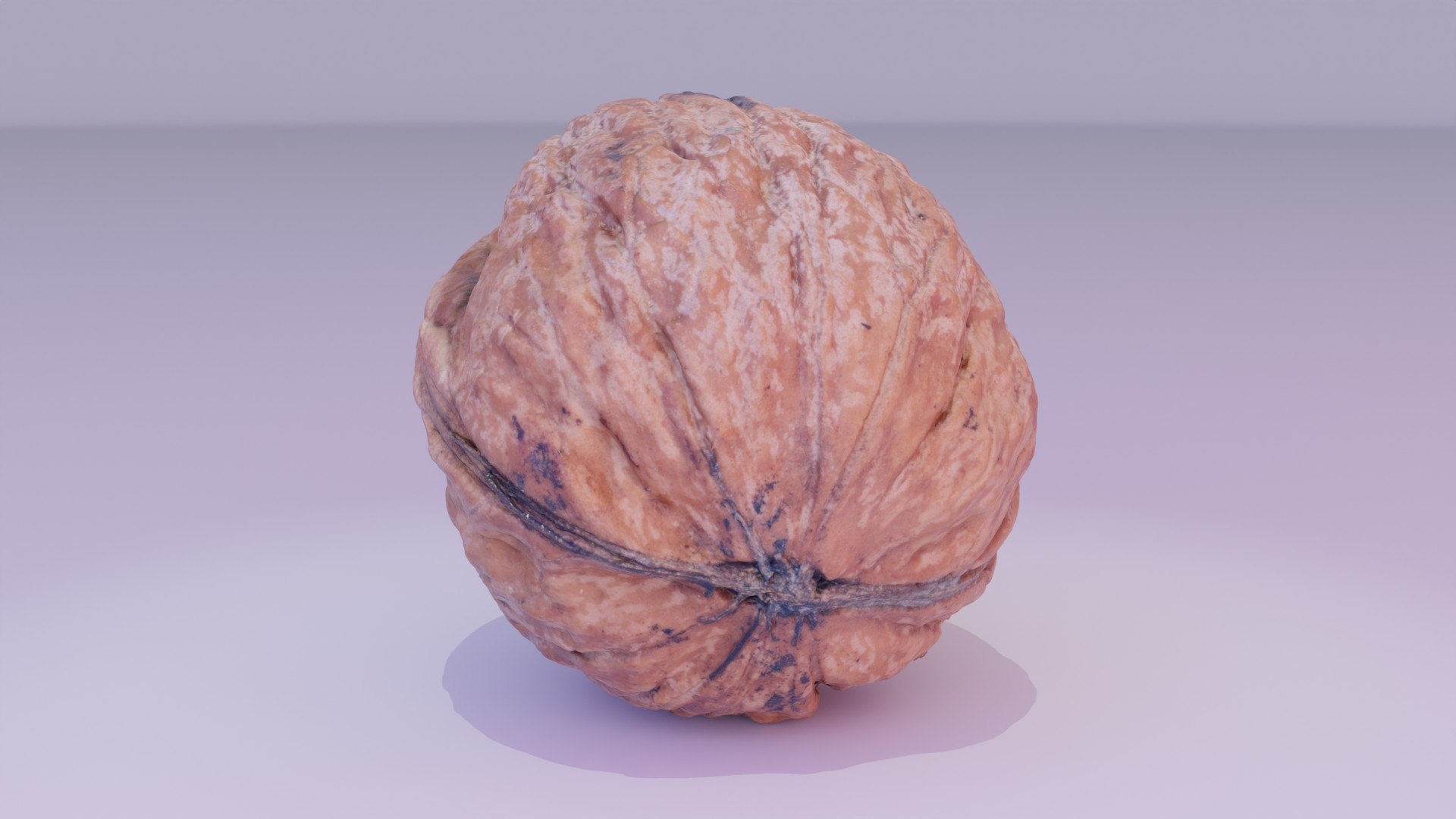 3D Walnut fruit 05 high-poly 3D model model - TurboSquid 1839789