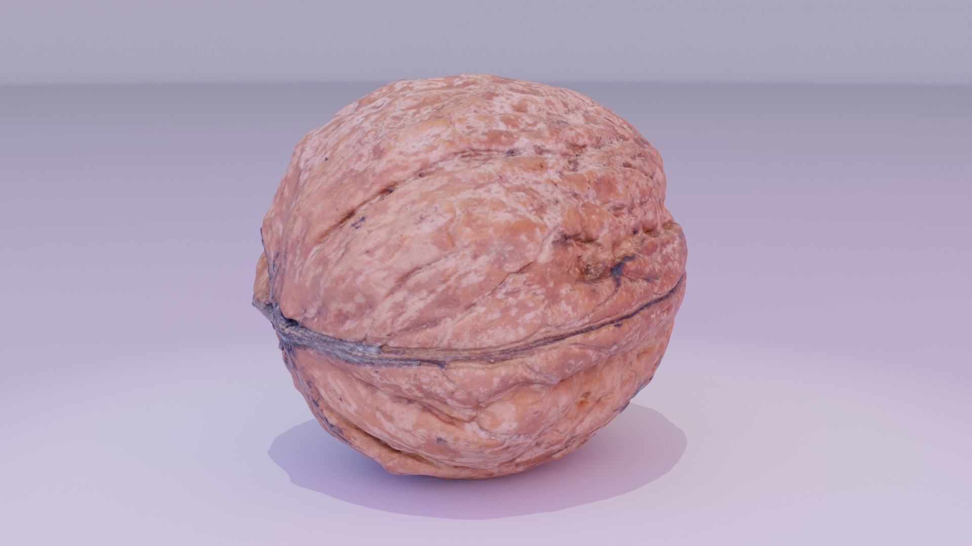 3D Walnut fruit 05 high-poly 3D model model - TurboSquid 1839789
