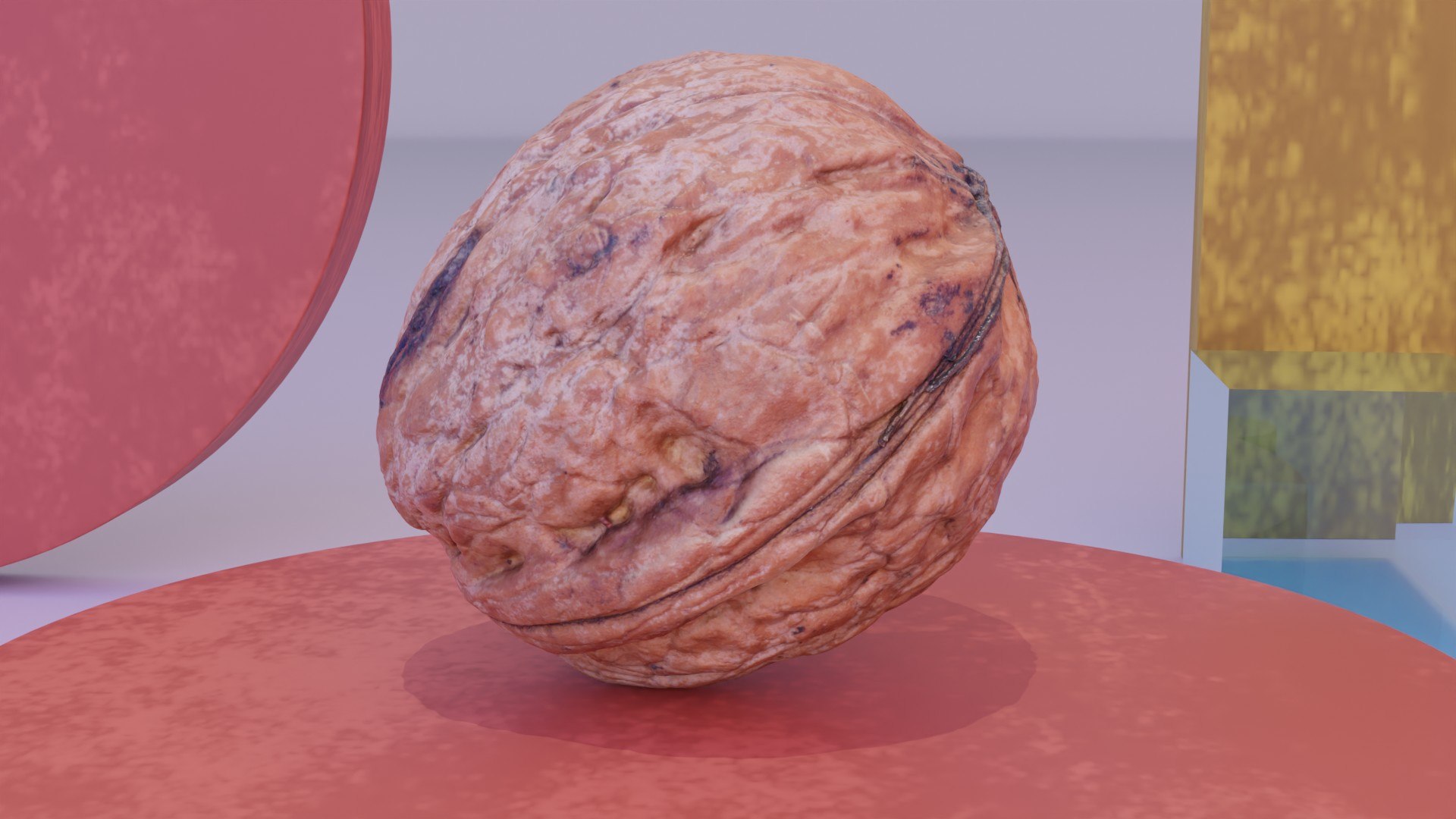 3D Walnut fruit 05 high-poly 3D model model - TurboSquid 1839789