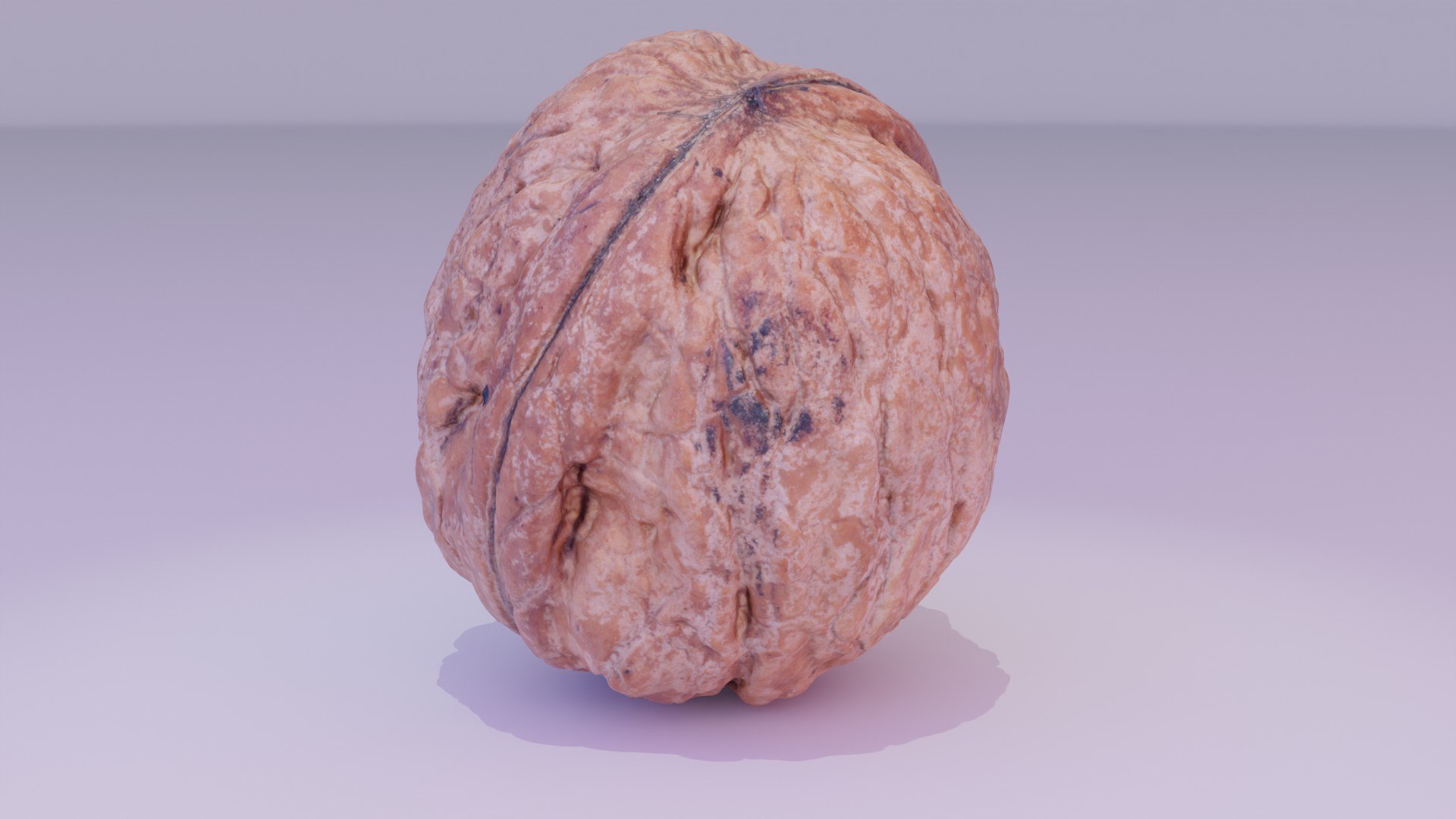 3D Walnut fruit 05 high-poly 3D model model - TurboSquid 1839789